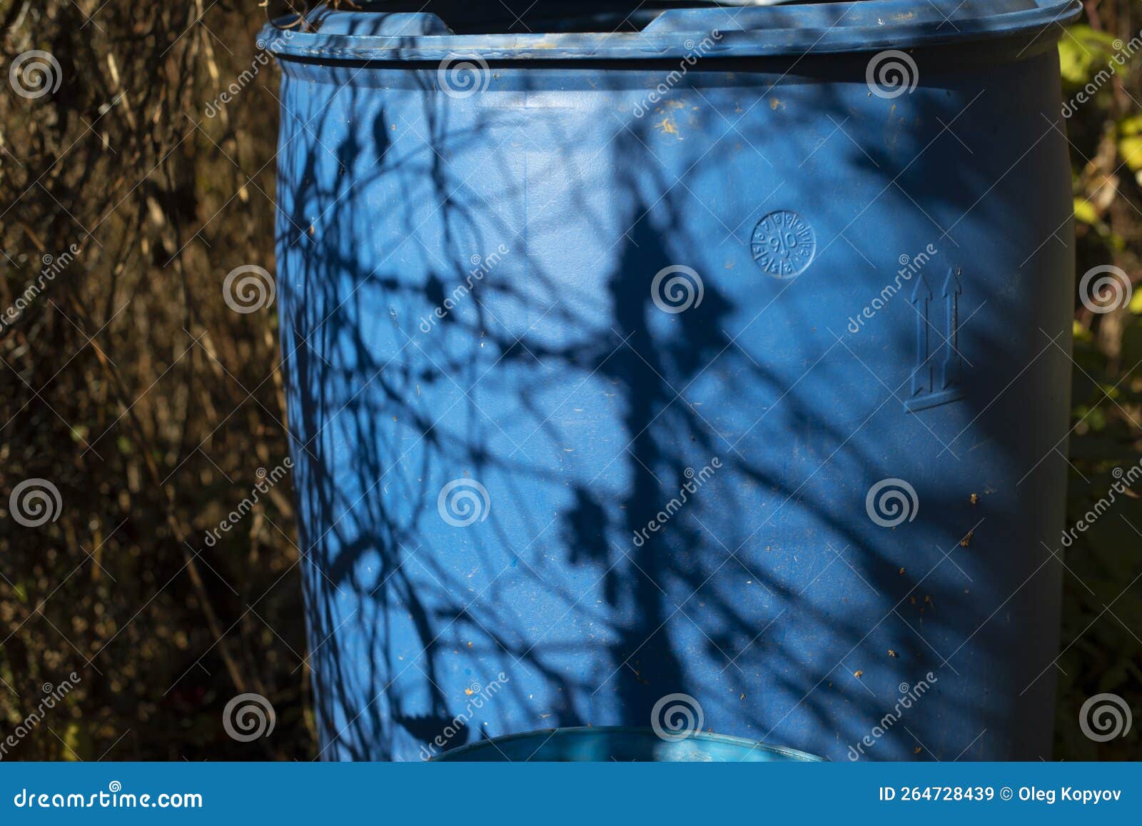 Blue Water Barrel in Garden. Blue Barrel and Shade from Plants Stock ...