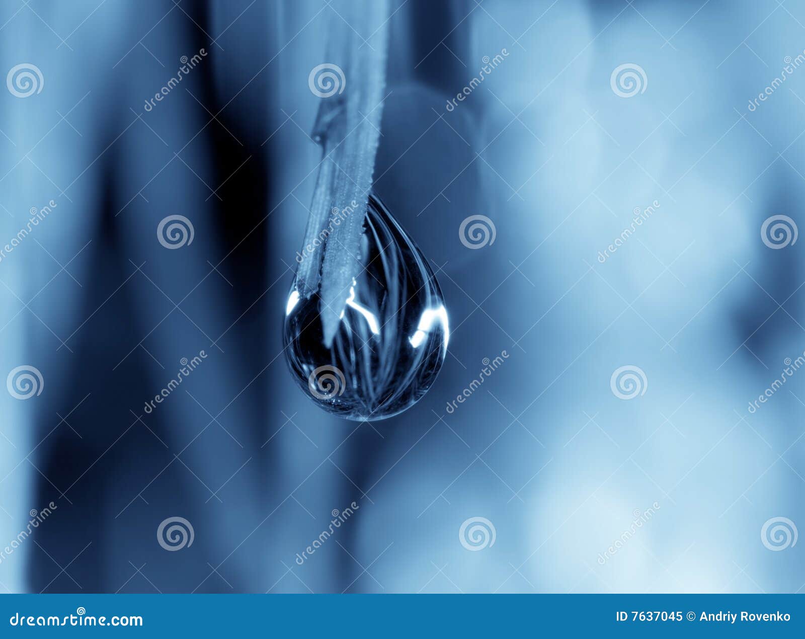 Blue water drop stock image. Image of droplets, floral - 7637045
