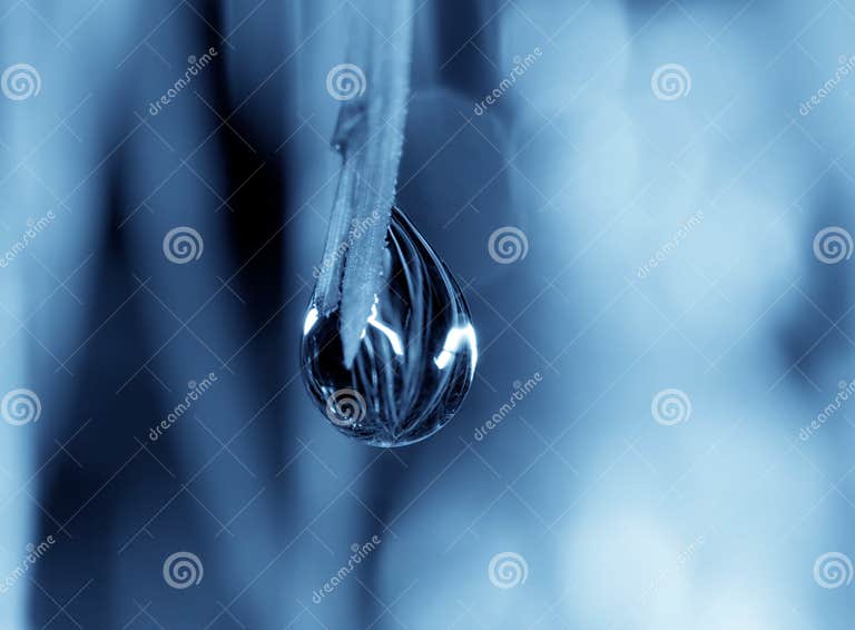 Blue water drop stock image. Image of droplets, floral - 7637045