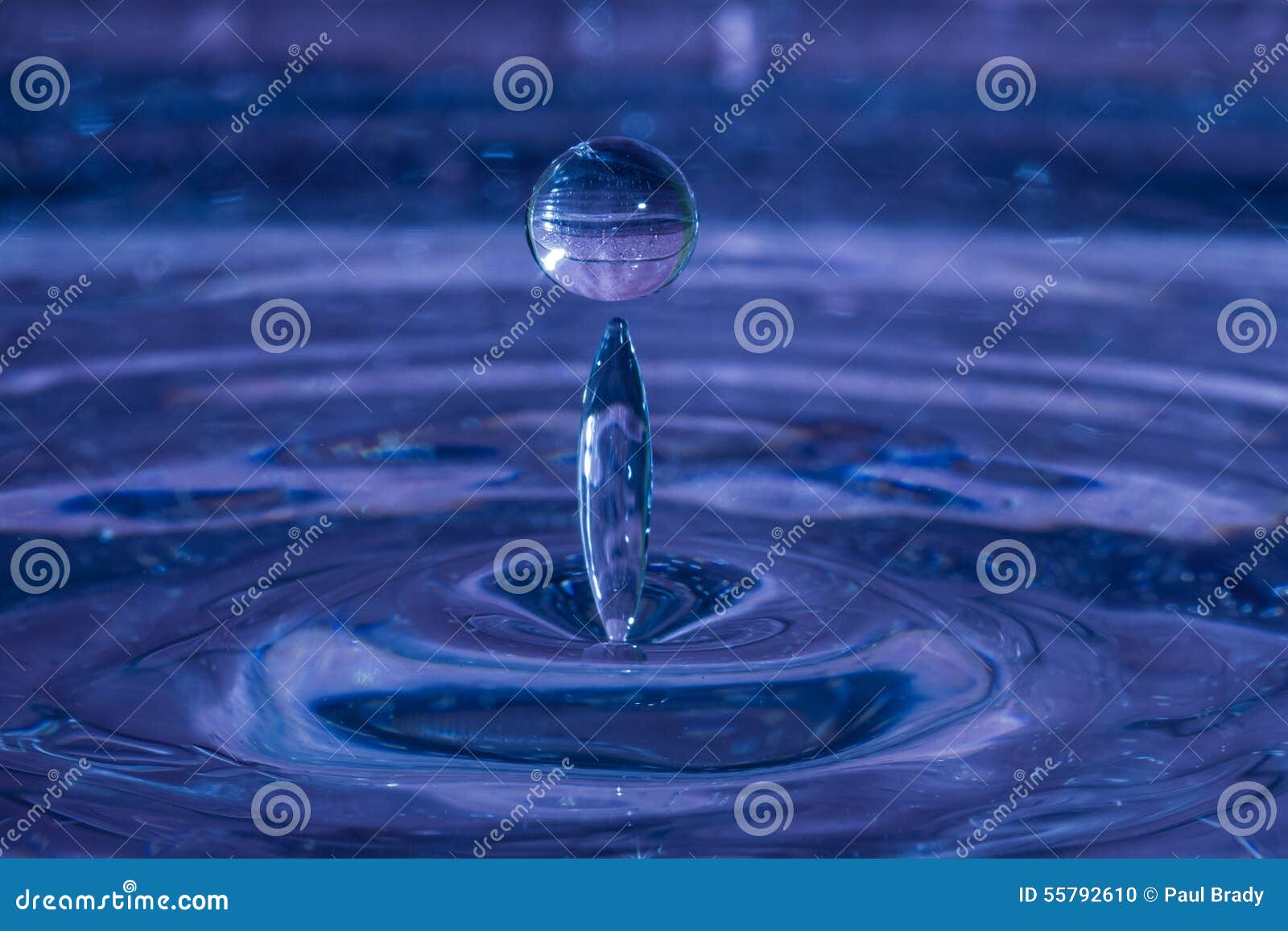 Blue Water Drop Splash stock photo. Image of close, splashing - 55792610