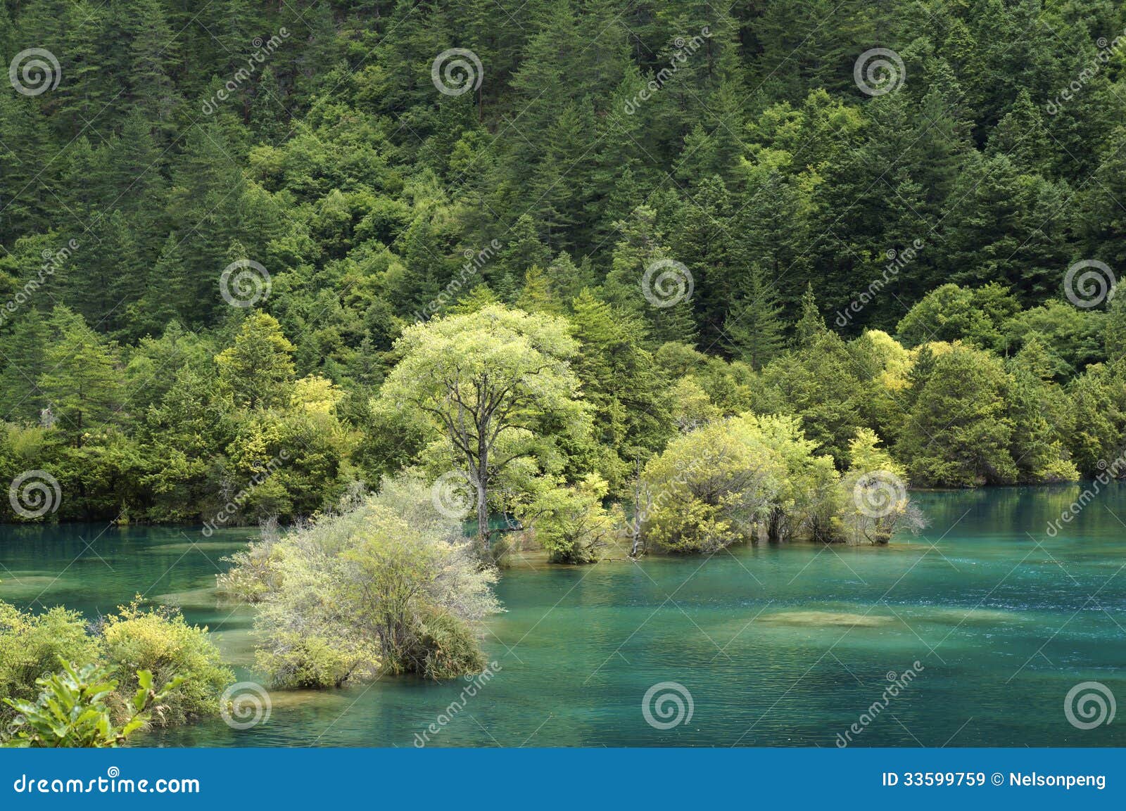 Blue water and green trees stock image. Image of blue - 33599759