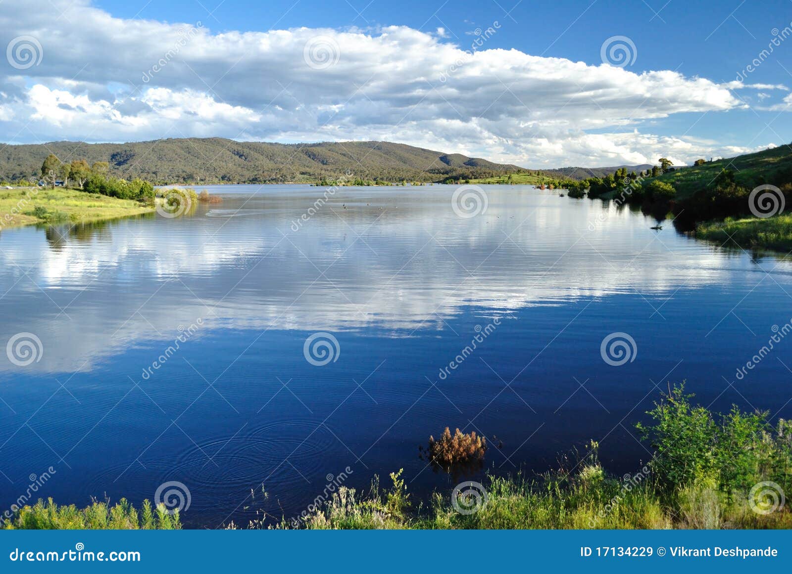 Blue water lake stock image. Image of lake, greenery - 17134229