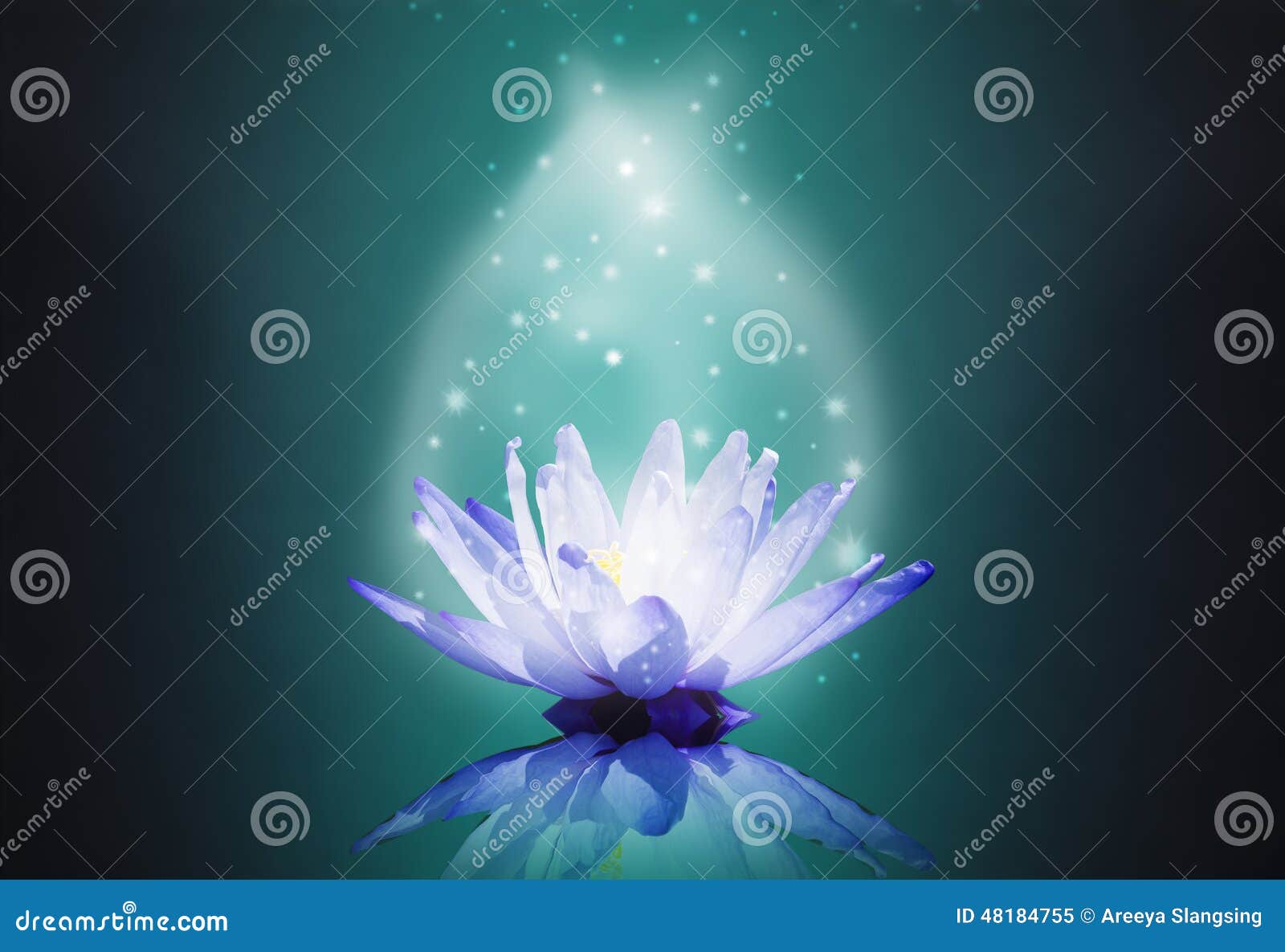 Blue Water Lotus on Magic Light Stock Image - Image of single, lotus ...