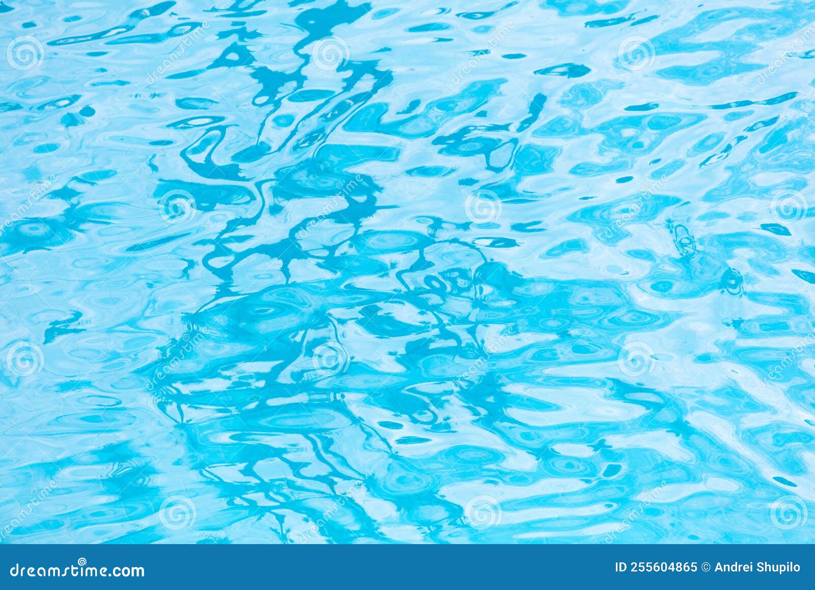 Blue water in the pool. stock image. Image of clean - 255604865