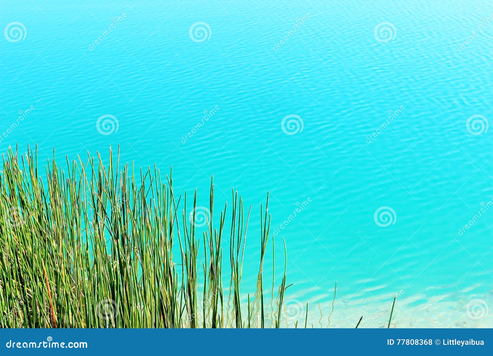 Blue Water with Ripples on a Pond. Stock Photo - Image of background ...