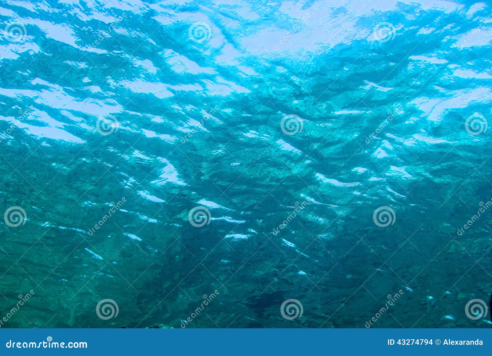 Seamless Underwater Texture