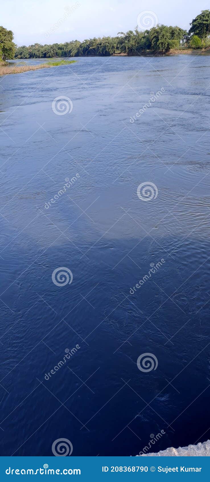 Blue water in river stock photo. Image of nature, blue - 208368790