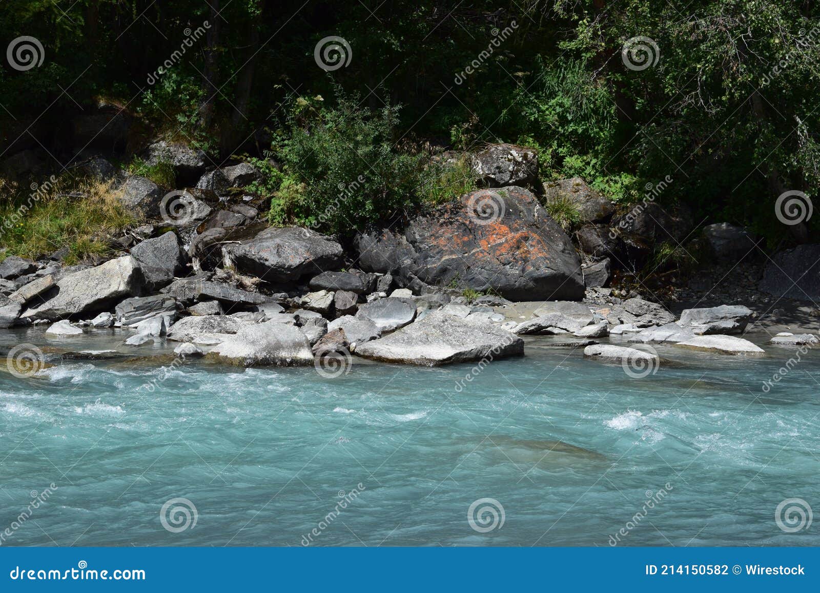 Blue-water River with Stones and Plants on the Bay Stock Photo - Image ...