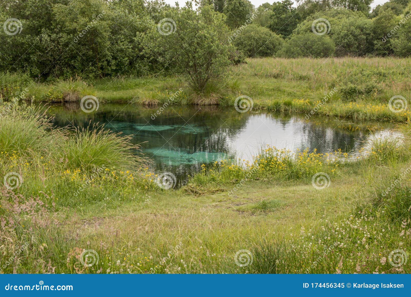 Blue Water Source Bottom of a Small Lake Stock Image - Image of ...