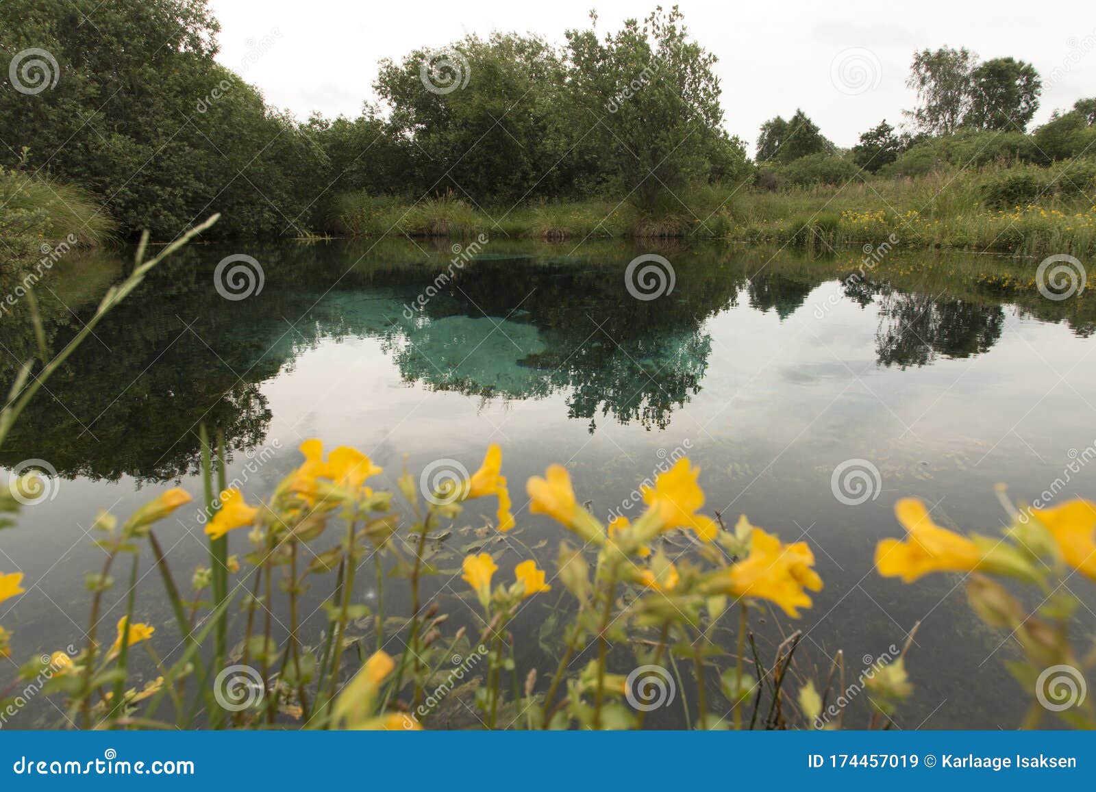 Blue Water Source Bottom of a Small Lake Stock Image - Image of fall ...