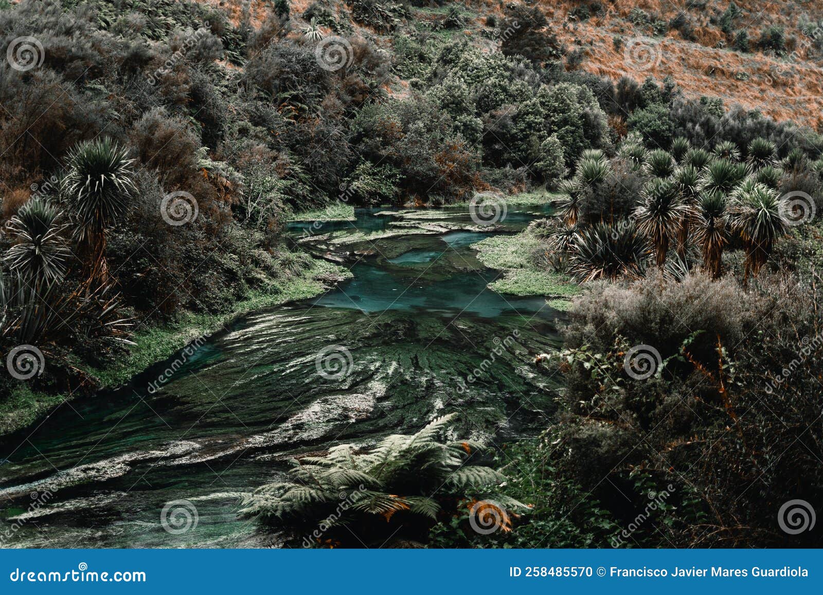 Blue Water Spring that Forms the River in the Middle of Nature among ...