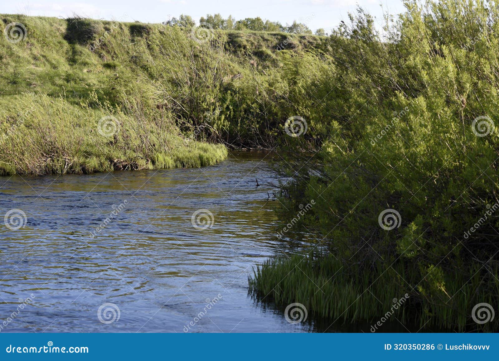 The Blue Water of the Spring River. Banks with Green Grass Stock Photo ...