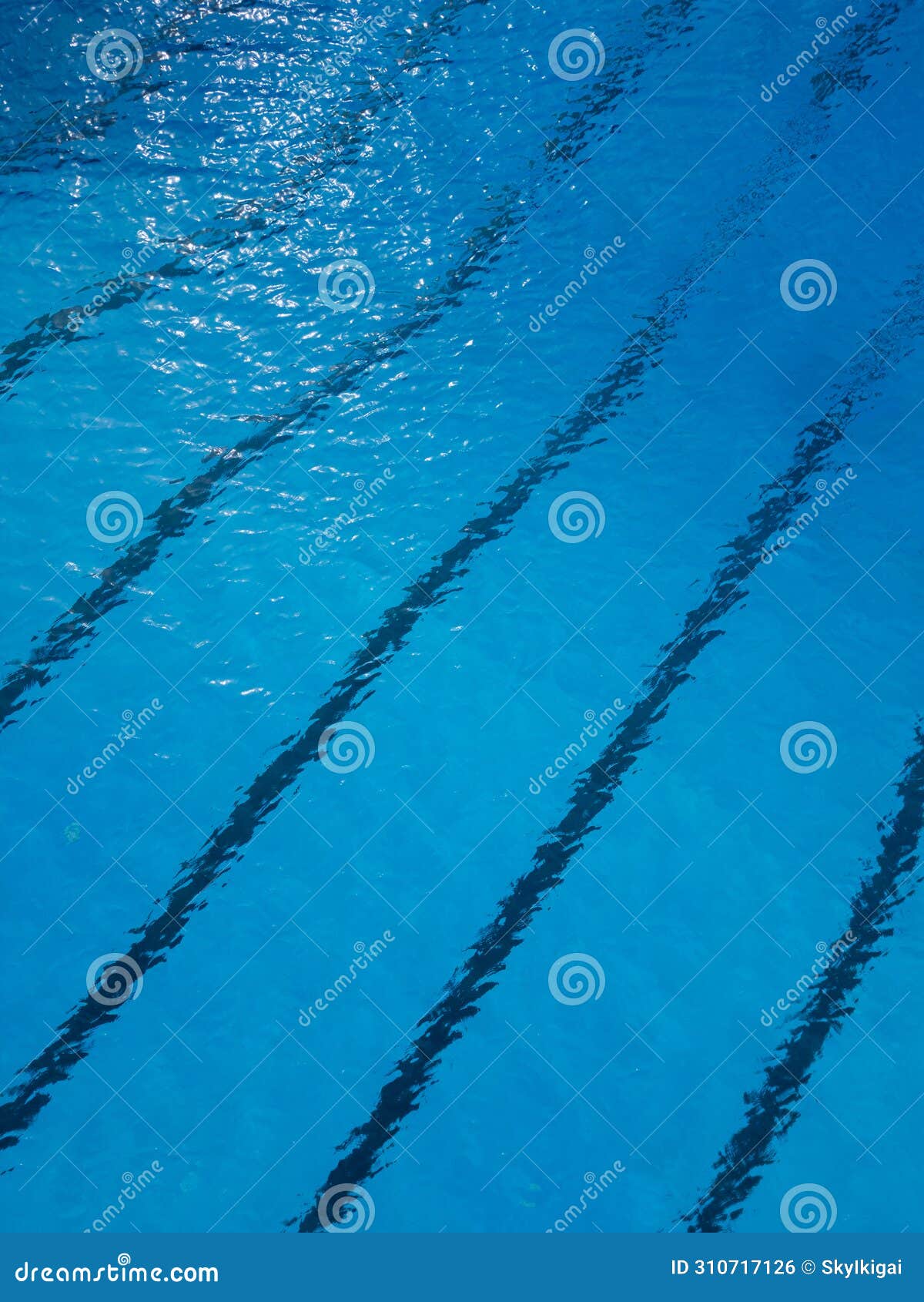 Blue Water Swimming Pool without People Stock Photo - Image of ...