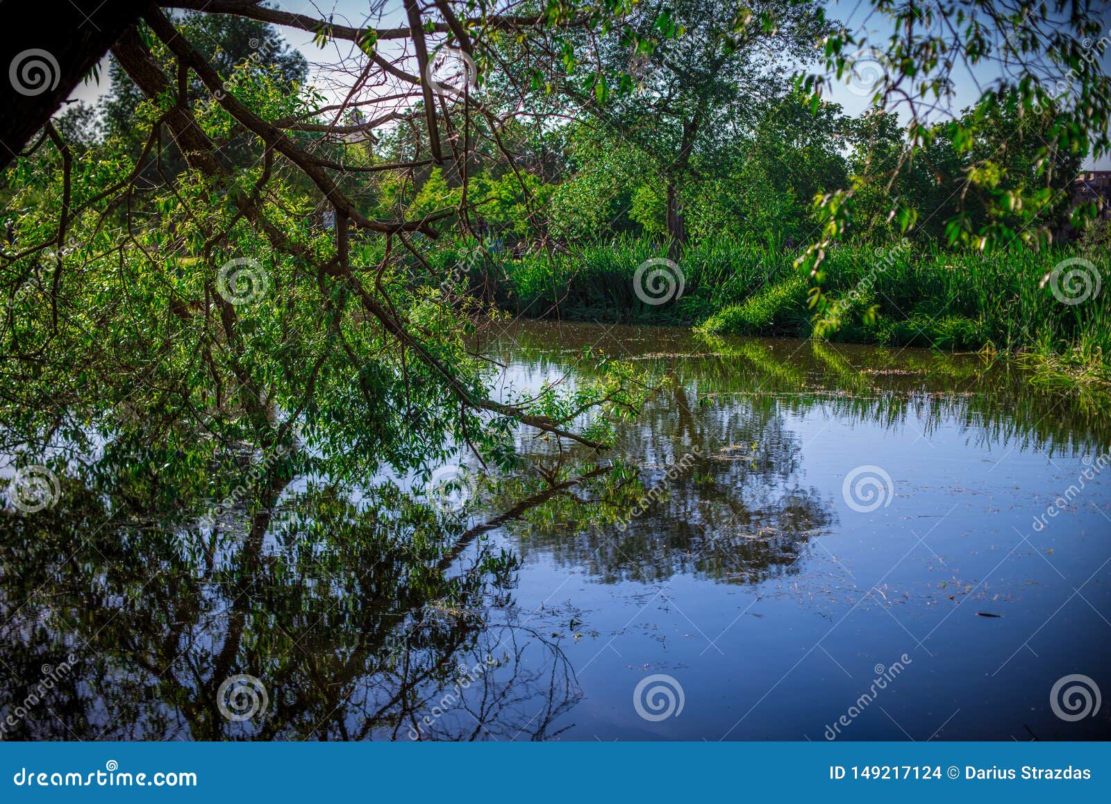 Blue water and trees stock photo. Image of natural, europe - 149217124