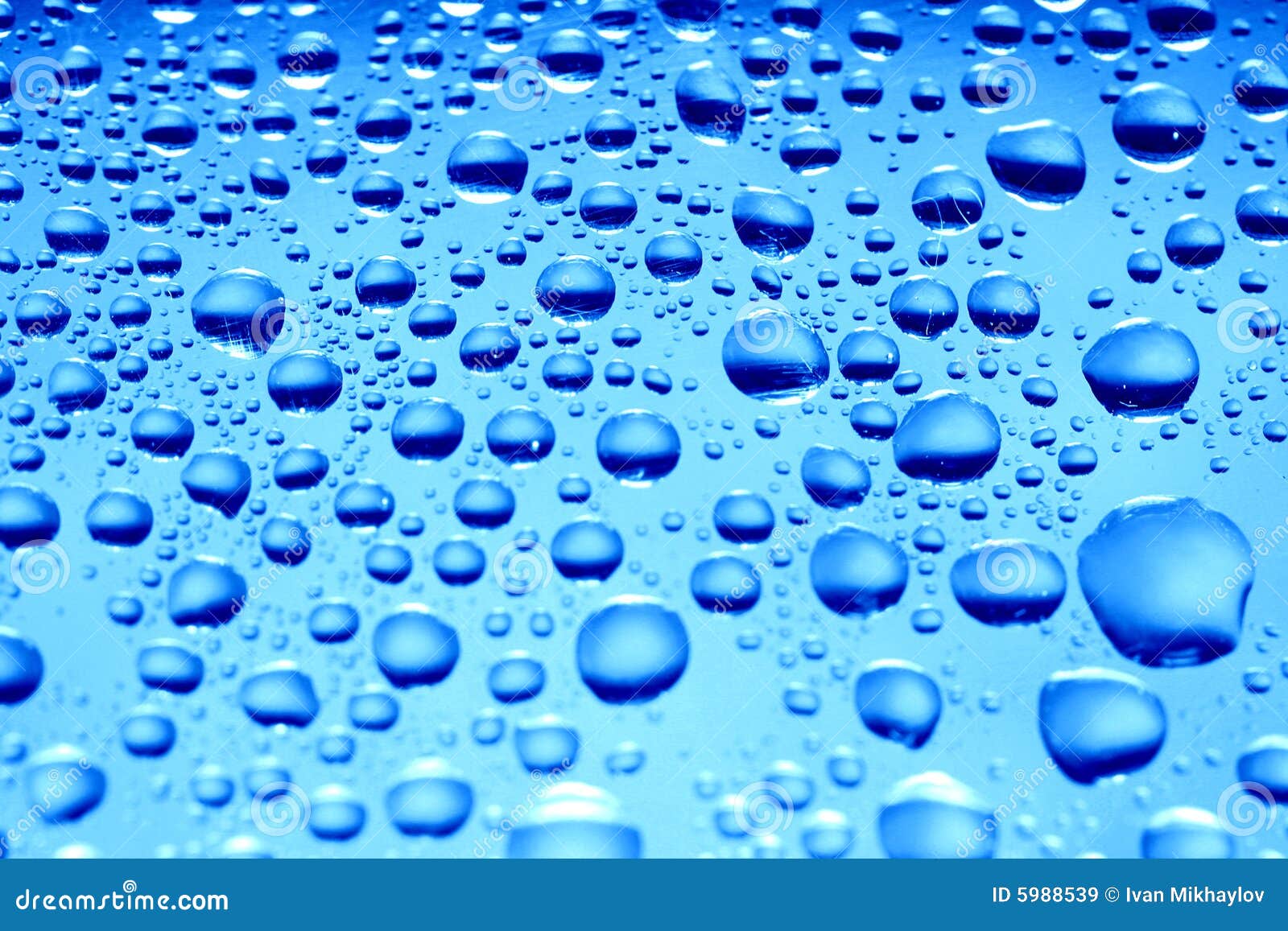 Blue waterdrops stock image. Image of nature, closeup - 5988539
