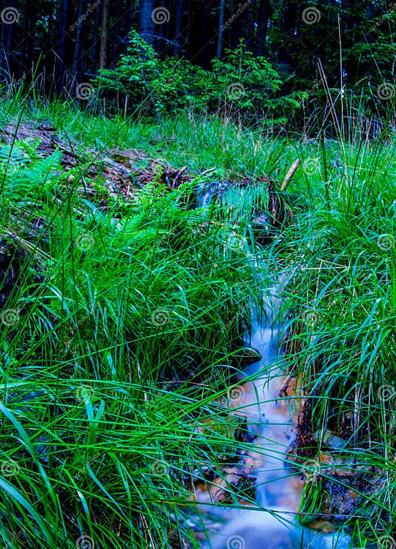 Blue waterfall in forest stock photo. Image of river - 72258988