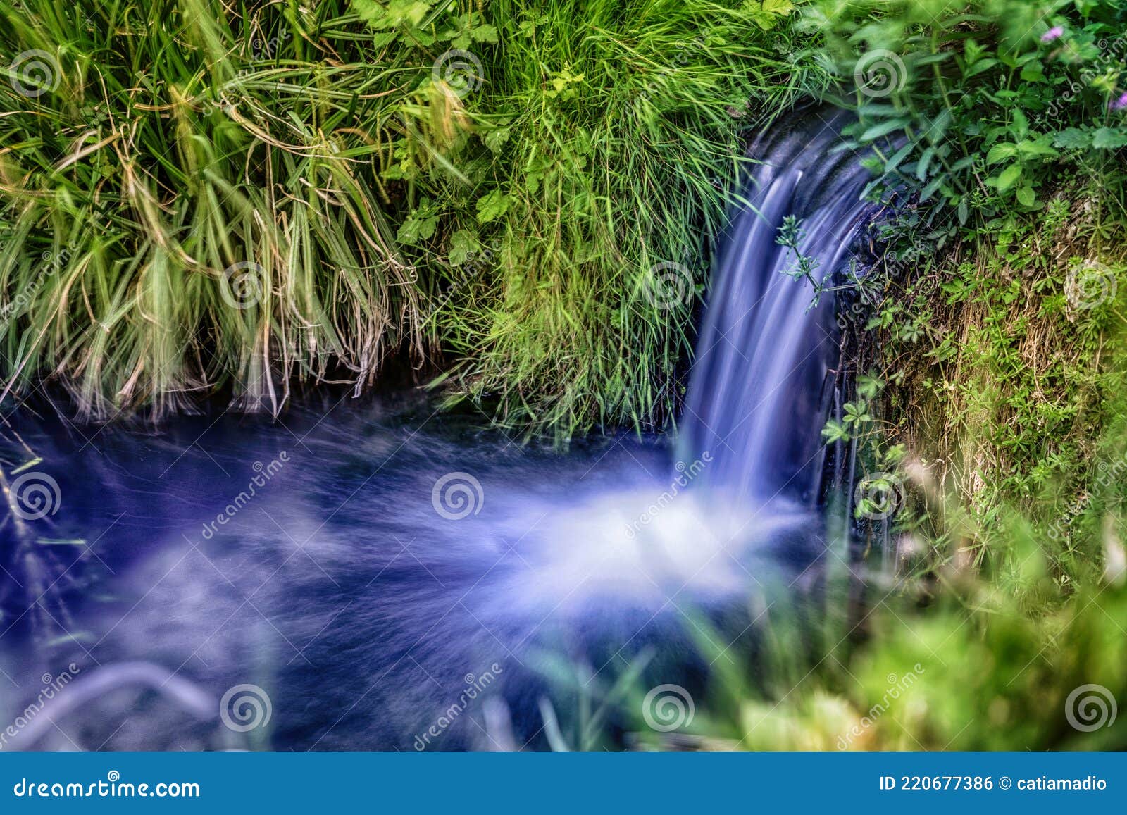 Blue Waterfall among Green Grass Stock Photo - Image of exposure, soft ...