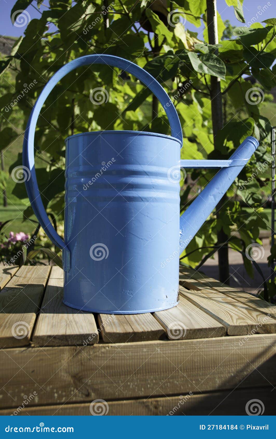 Blue Watering can stock photo. Image of gardener, planting - 27184184