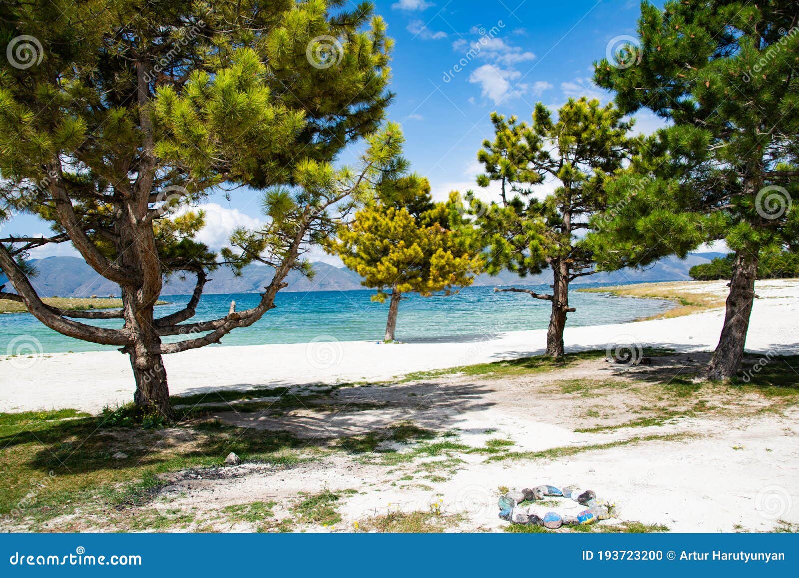 Blue Waters of Lake Sevan and a Lonely Tree on a White Beach Stock ...