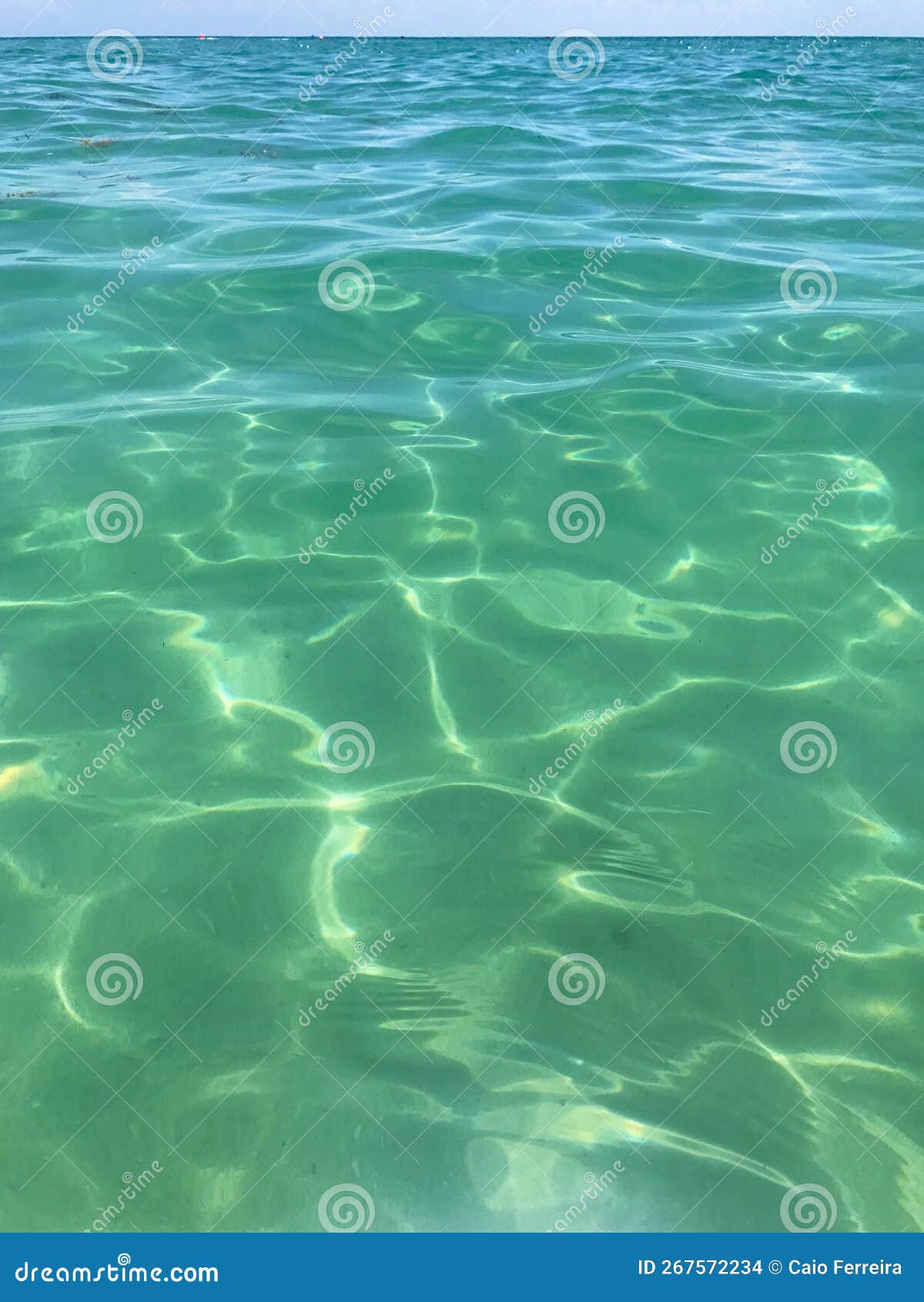Blue Waters in a Miami Beach Sea. Stock Photo - Image of flow, pure ...