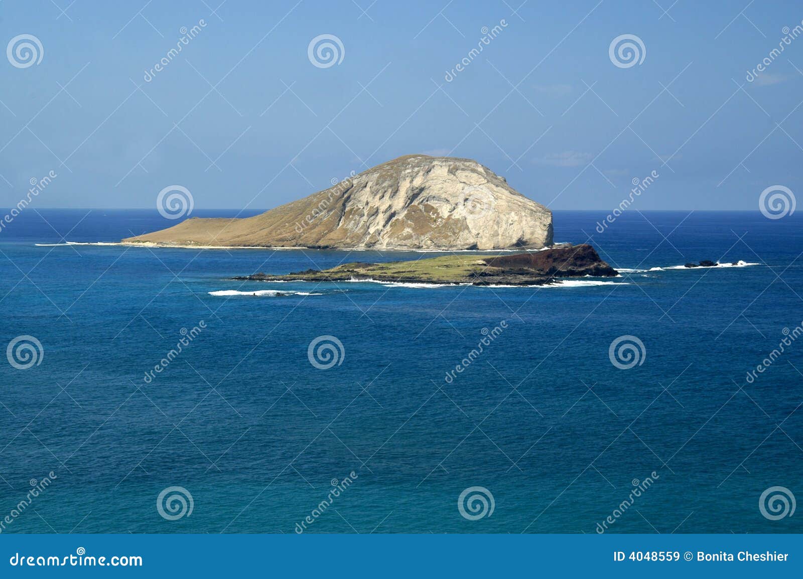 Rabbit Island Royalty-Free Stock Photography | CartoonDealer.com #6178907