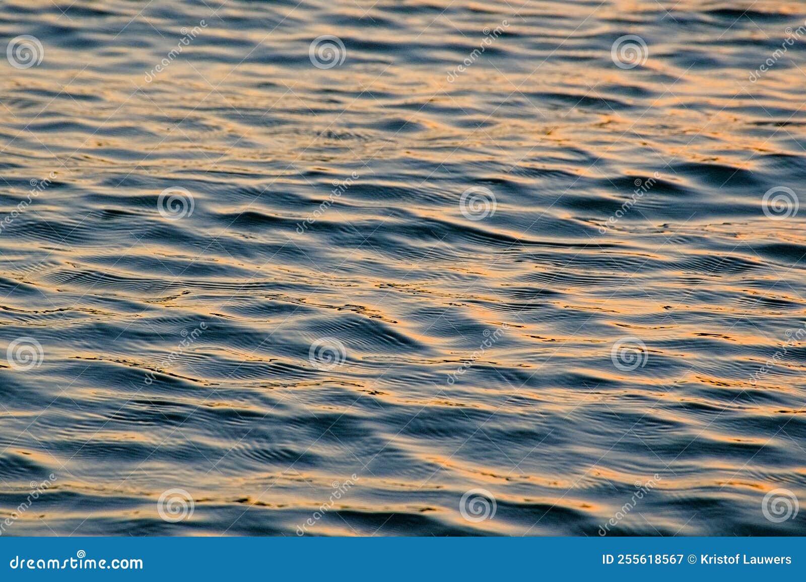 Rippling Water with Reflections of the Evening Sun Stock Image - Image ...