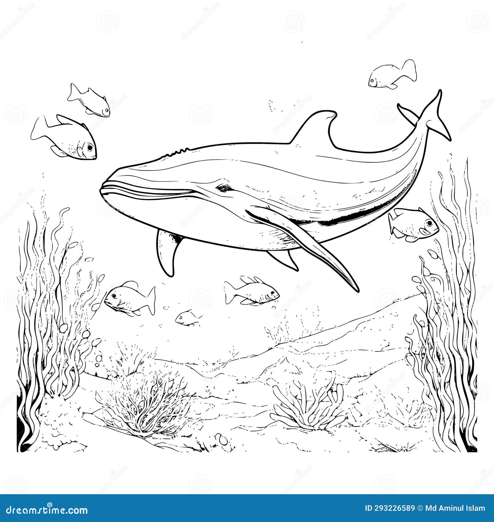 Blue Whale Coloring Pages Drawing for Kids Stock Vector - Illustration ...