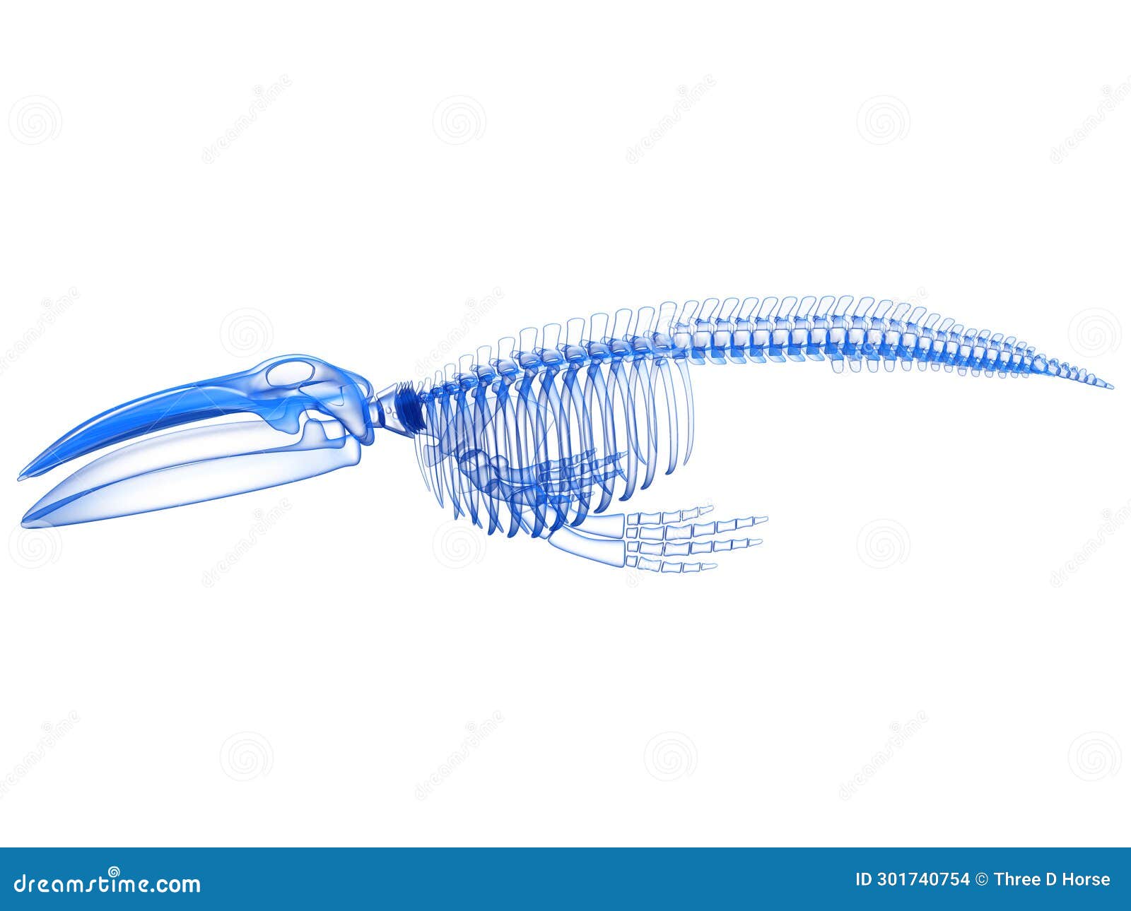 Whale Skeleton Pattern Seamless Cartoon. Skull Silhouette Underwater ...