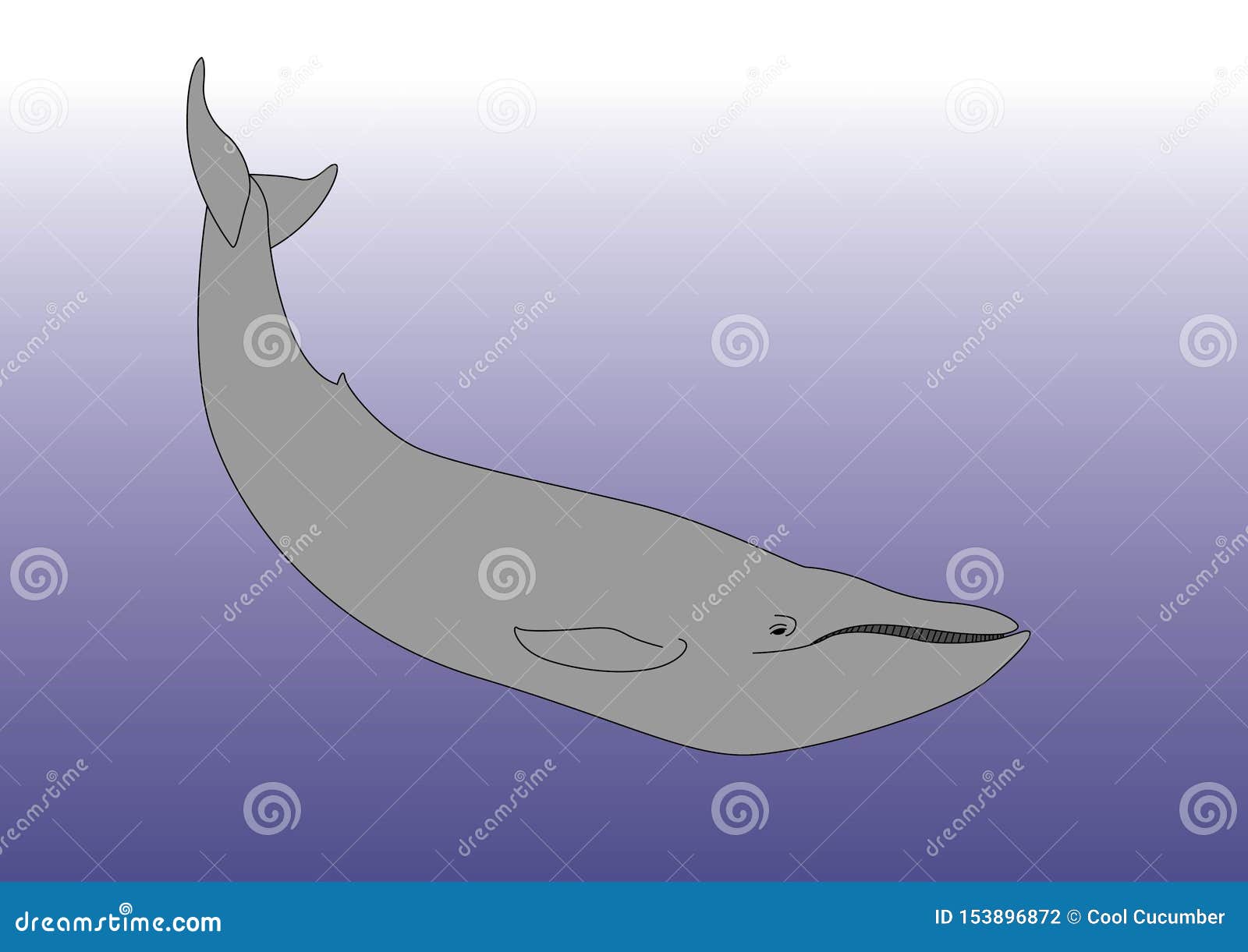 Blue Whale Swimming in the Ocean Vector Illustration Stock Vector ...