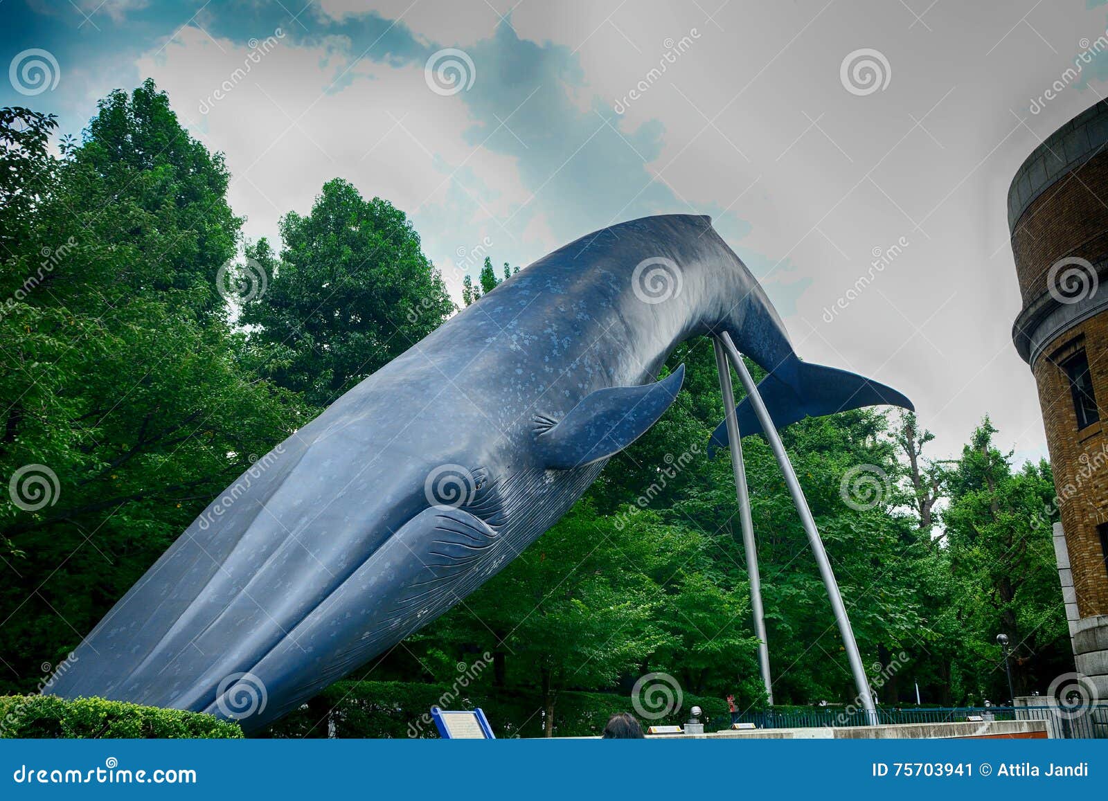 Blue whale, Tokyo, Japan editorial photo. Image of park - 75703941