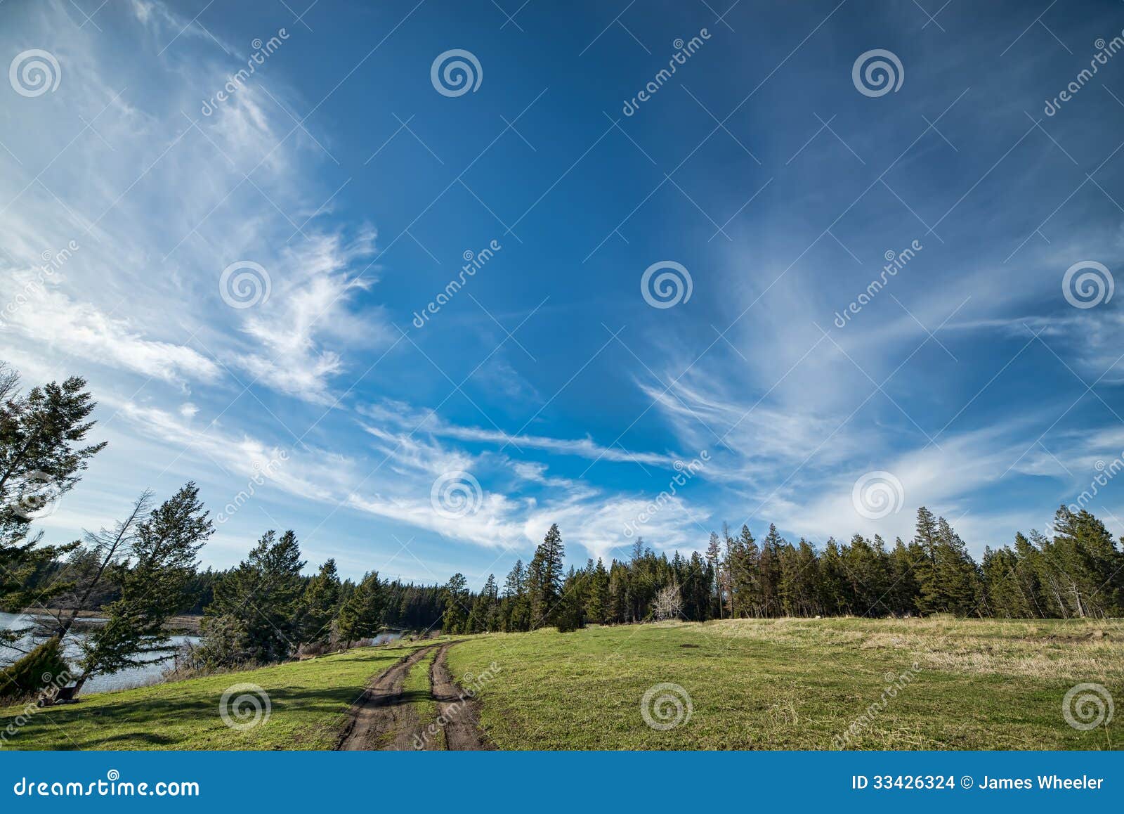 Blue Whispy Clouds in Sky Above Forest Stock Photo - Image of ...