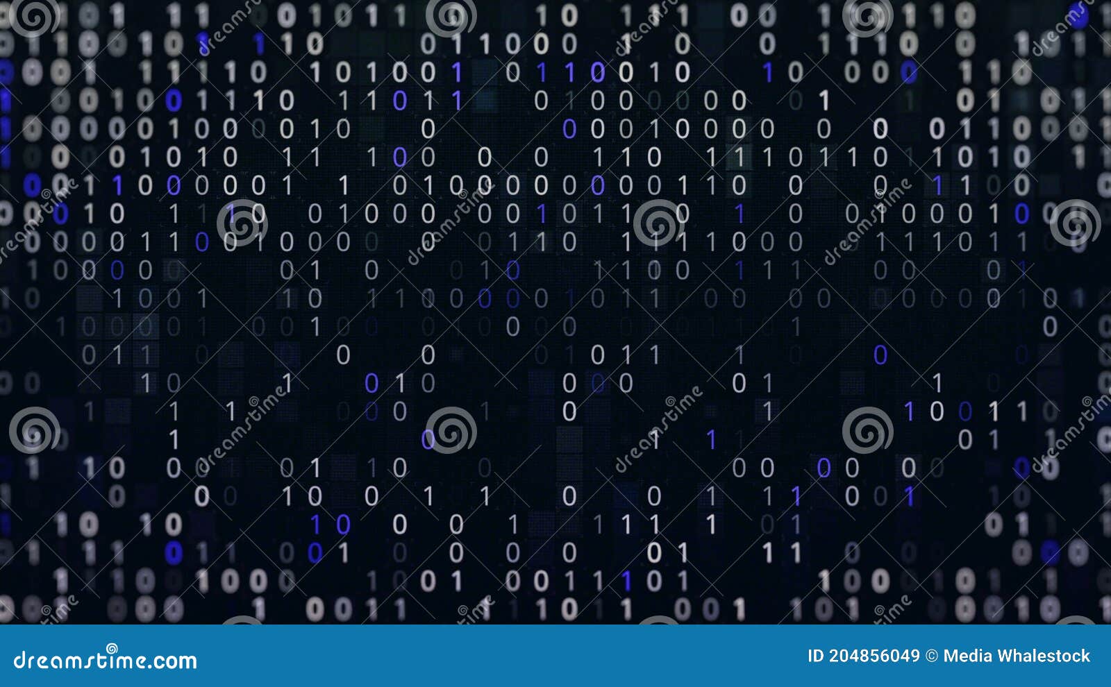 Blue and White Binary Code Fast Typing on Dark Display. Animation ...