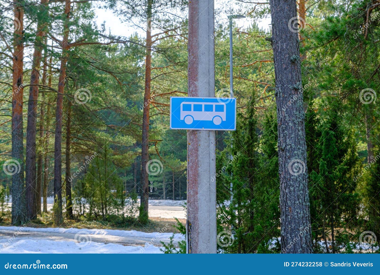 Blue and White Bus Parking Sign with Bus Icon. Stock Photo - Image of ...