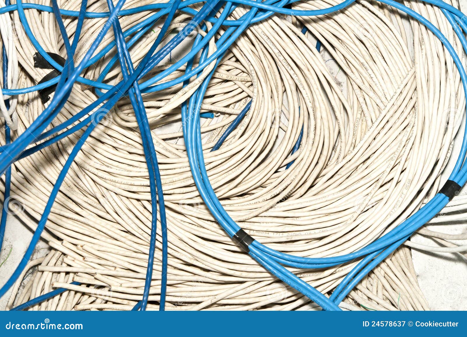 Blue and white Cable stock image. Image of rack, jack - 24578637