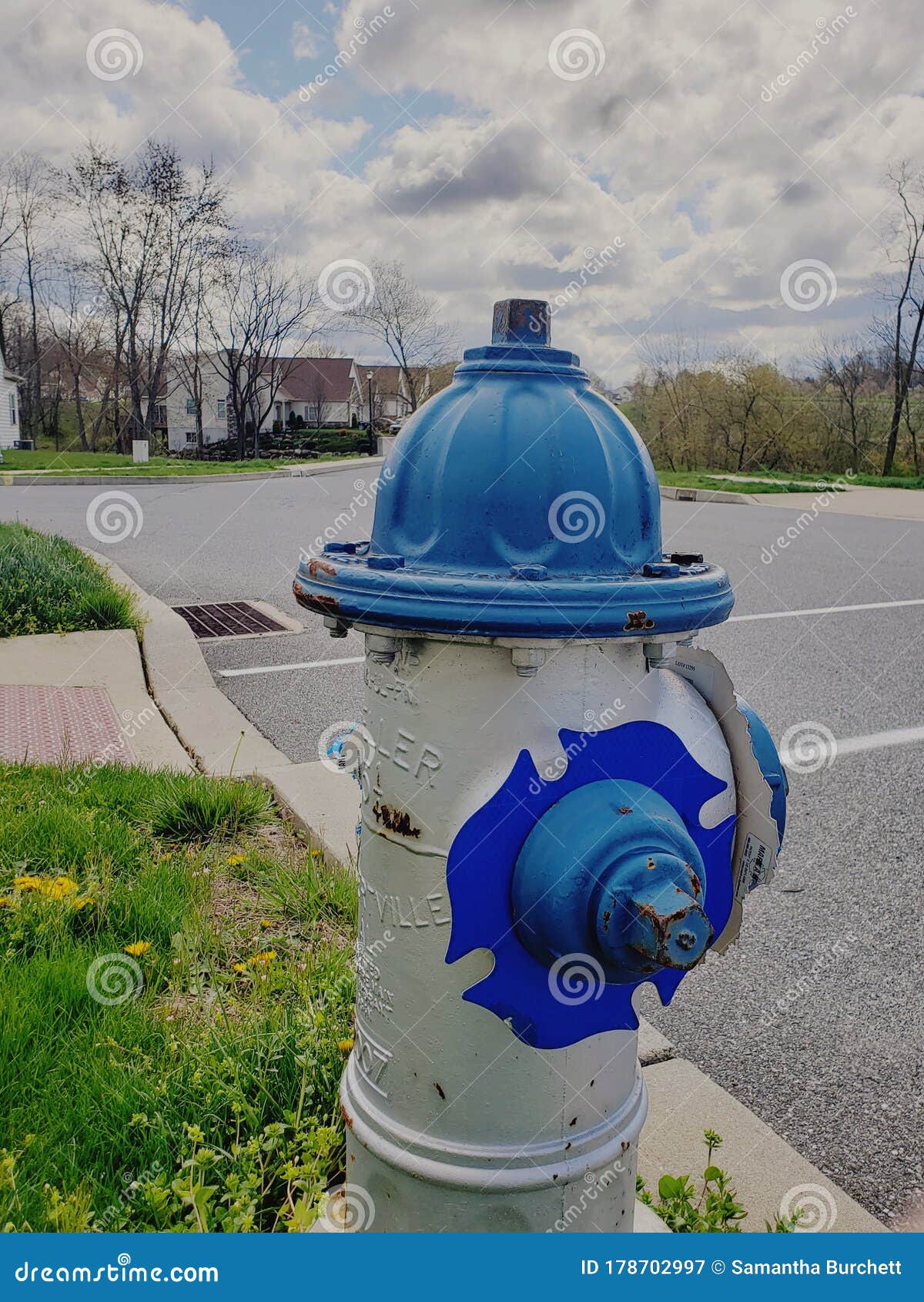 Blue and White Fire Hydrant Sitting Next Too a Empty Street because ...