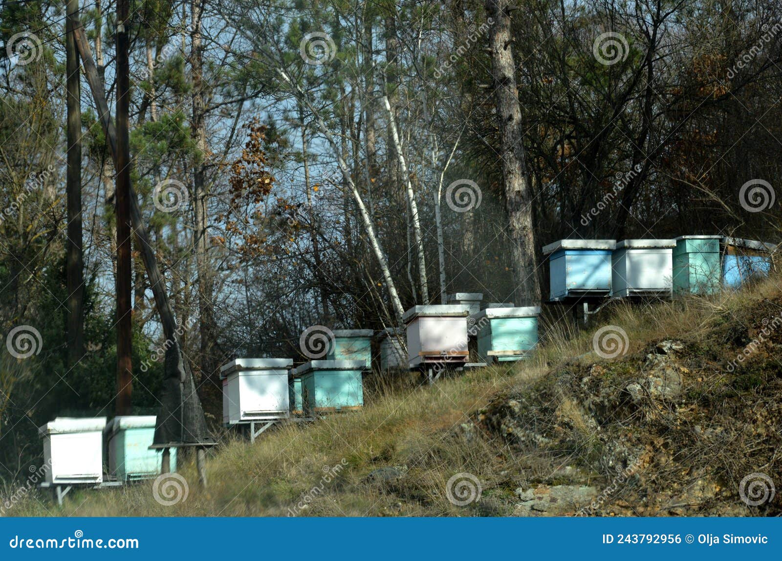 Blue and White Hives on the Hill Stock Photo - Image of hill, hives ...