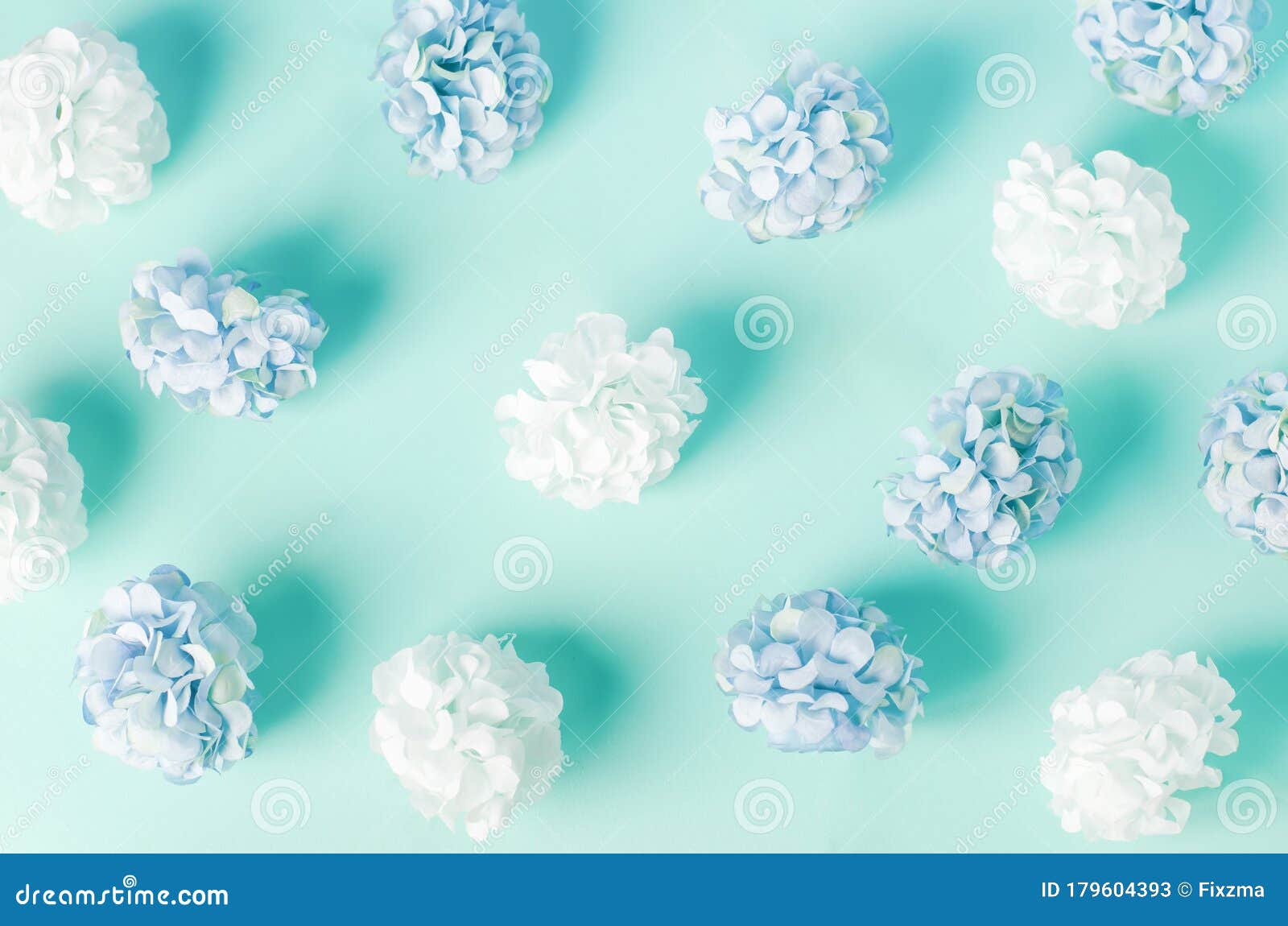Blue and White Hydrangea Flowers Pattern on Blue Background Stock Image ...
