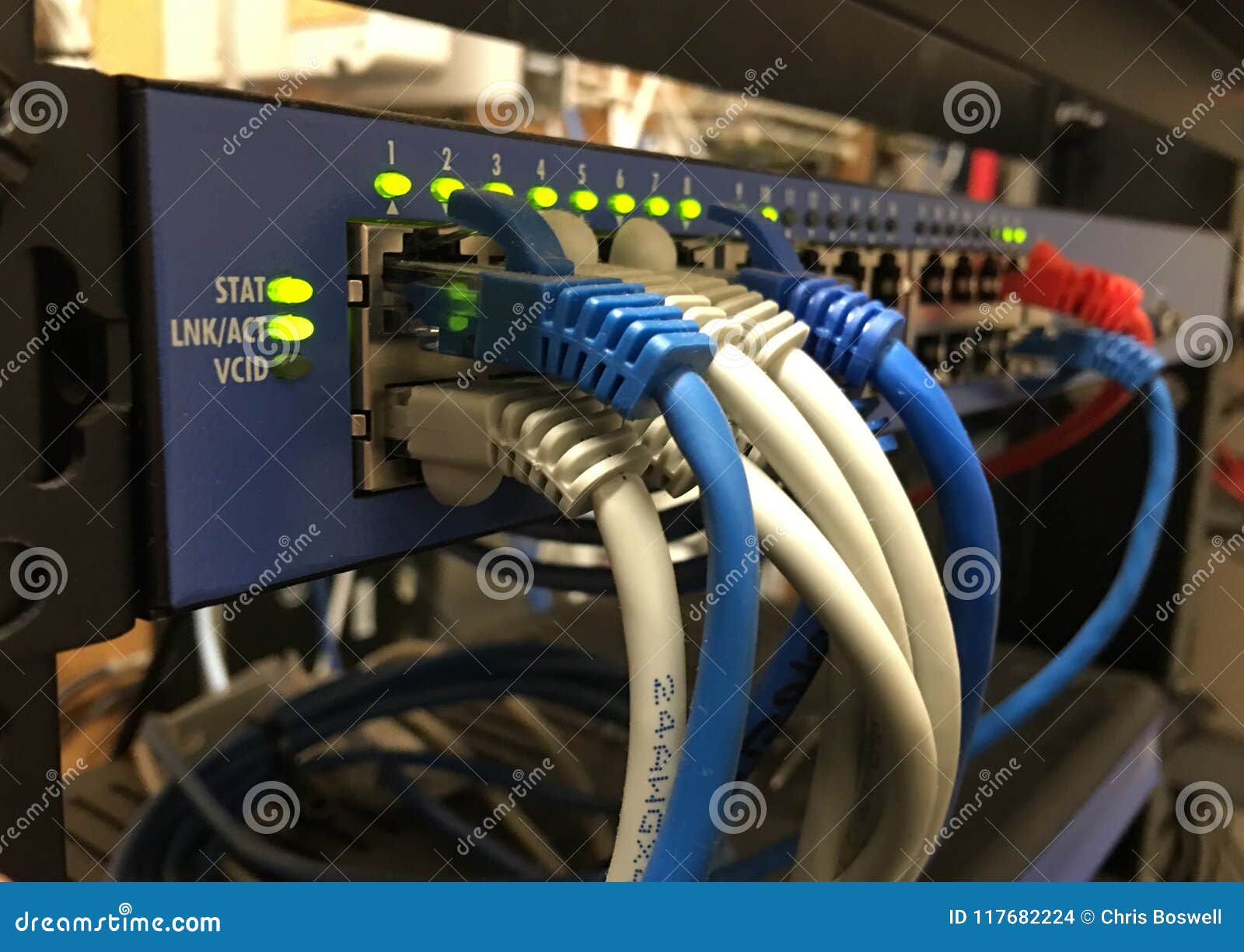Network Server Cat 5 Cables Plugged into Slots Stock Photo - Image of ...