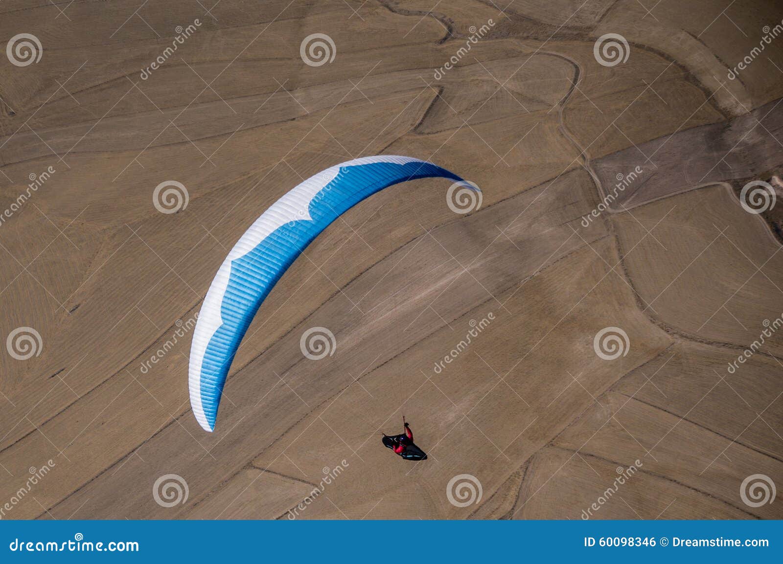 Blue and White Paraglider Pilot Flying Above the Fields Stock Photo ...