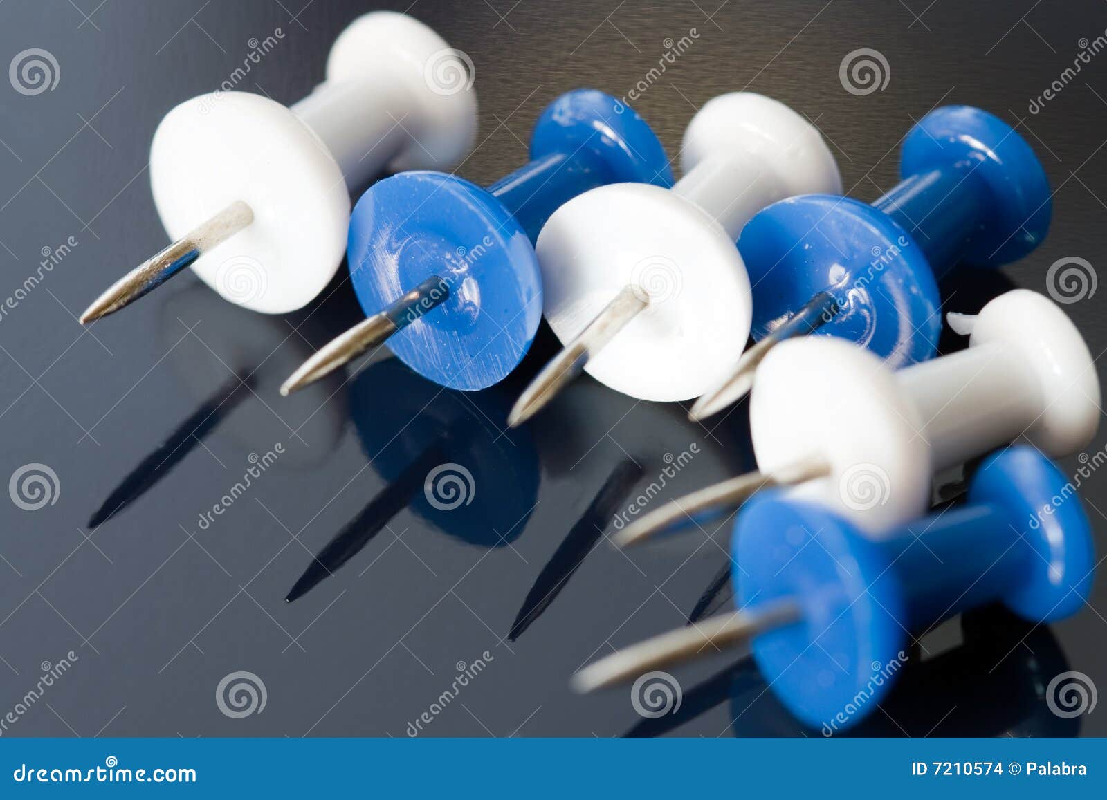 Blue and White push pins stock photo. Image of detail - 7210574