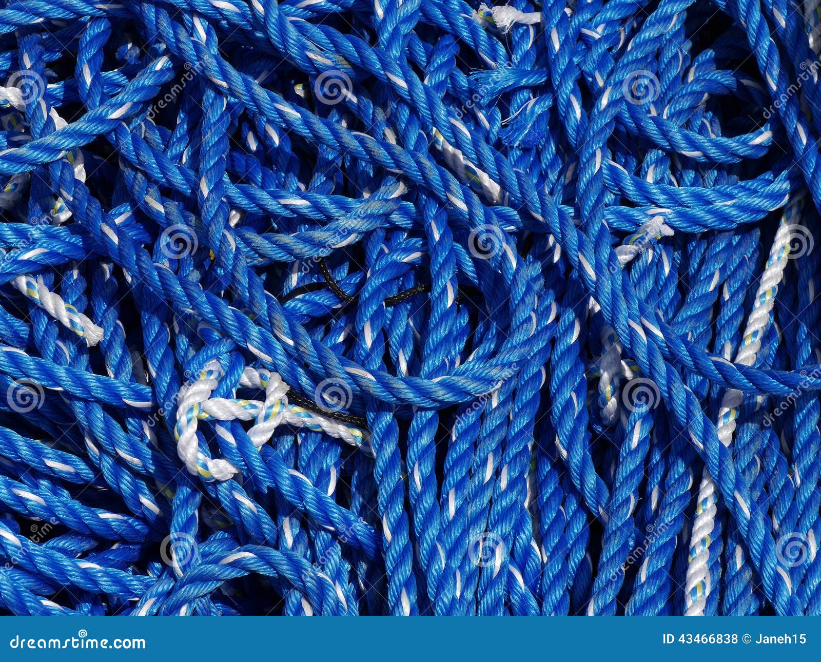 Blue and white rope stock photo. Image of difficulty - 43466838