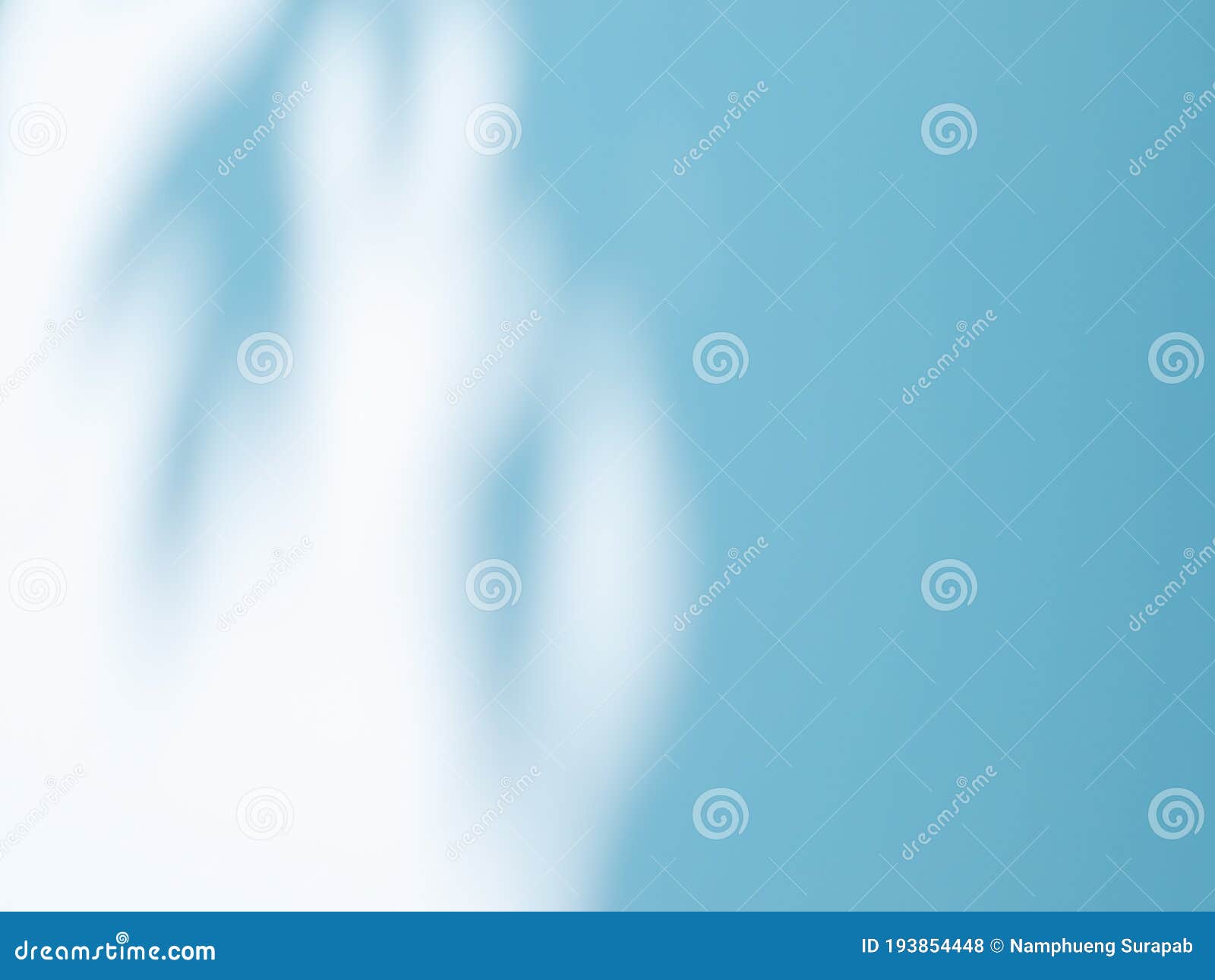 Blue White Shadow of Leaf As Color Abstract Background Stock Photo ...
