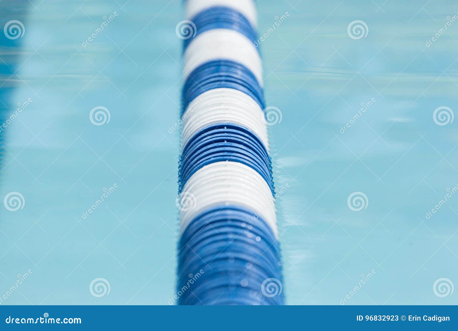Blue and White Swim Lane Lines Stock Image - Image of training, water ...