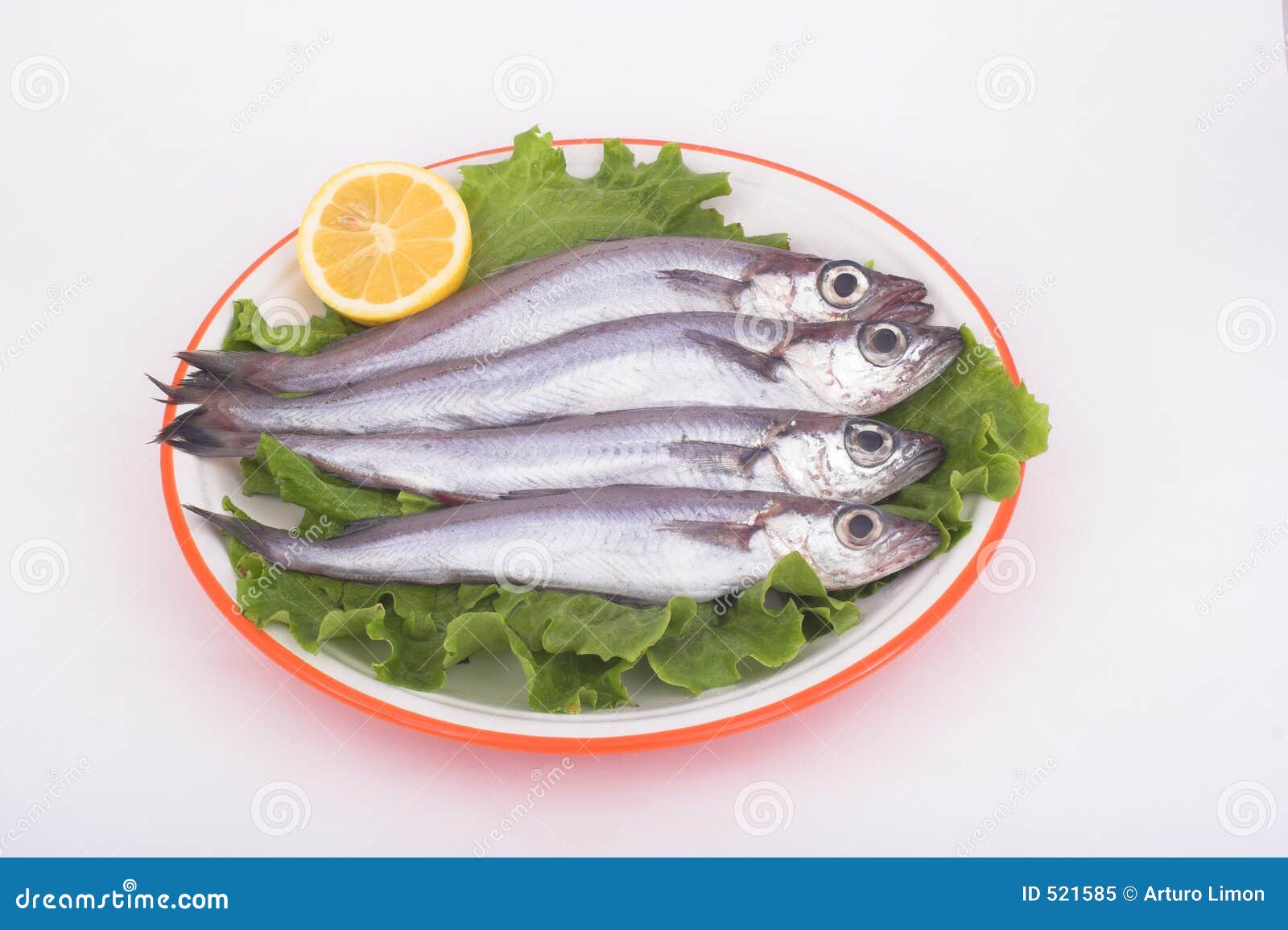 Blue Whiting ( fish ) stock image. Image of fish, food - 521585