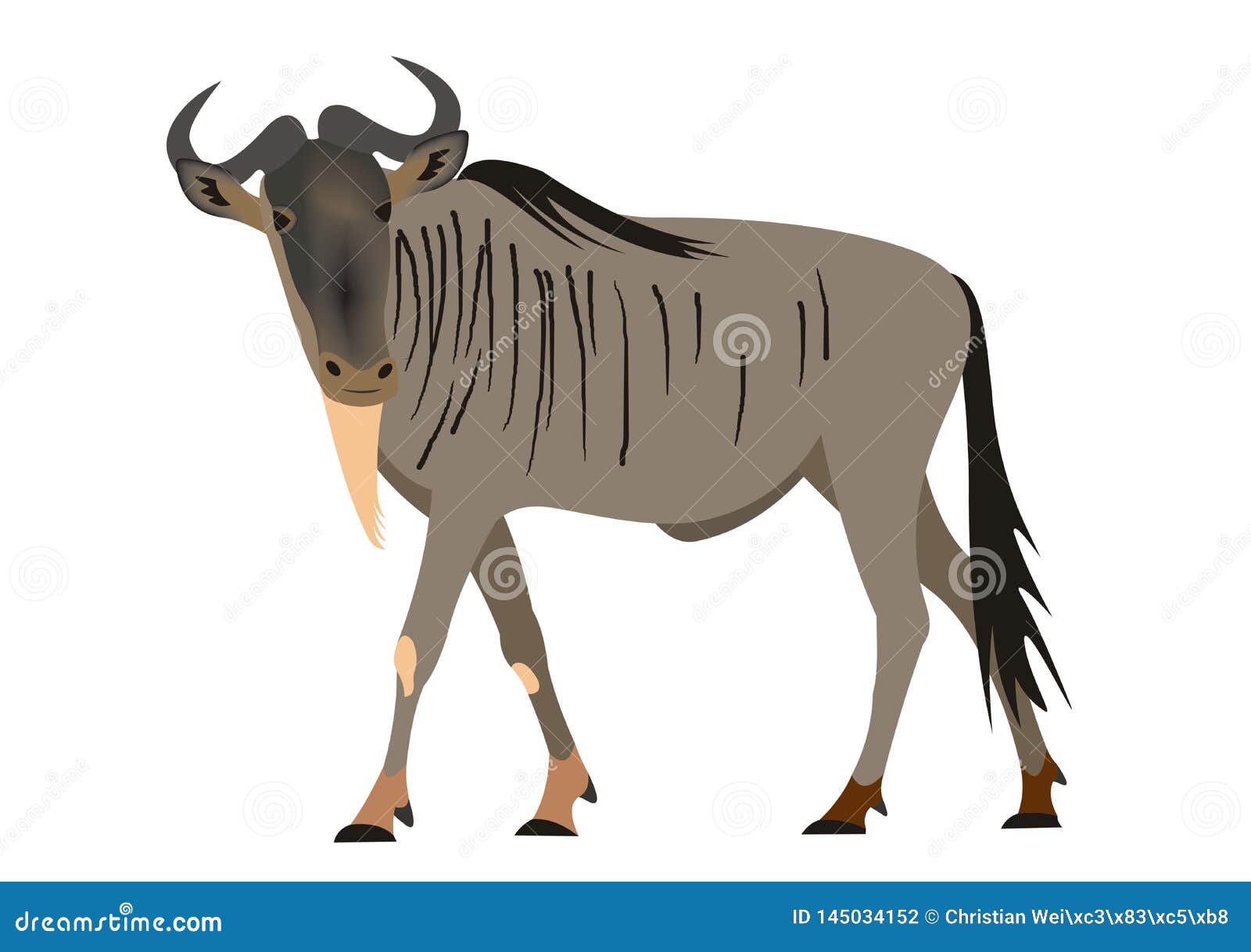 Gnu, Blue Wildebeest Illustration, Drawing, Engraving, Ink, Line Art ...