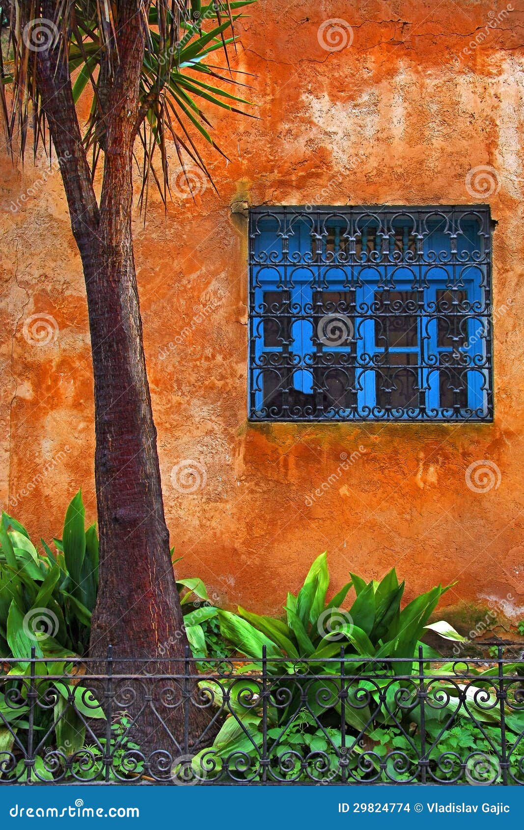 Blue window and palm tree stock photo. Image of town - 29824774