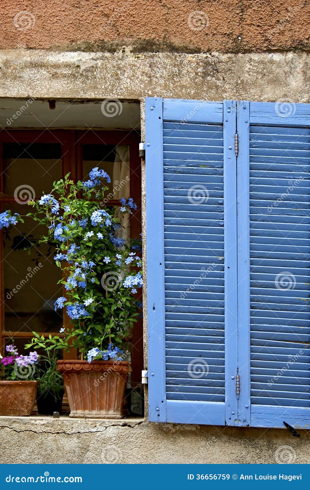 Blue window shutter stock image. Image of residence, decoration - 36656759