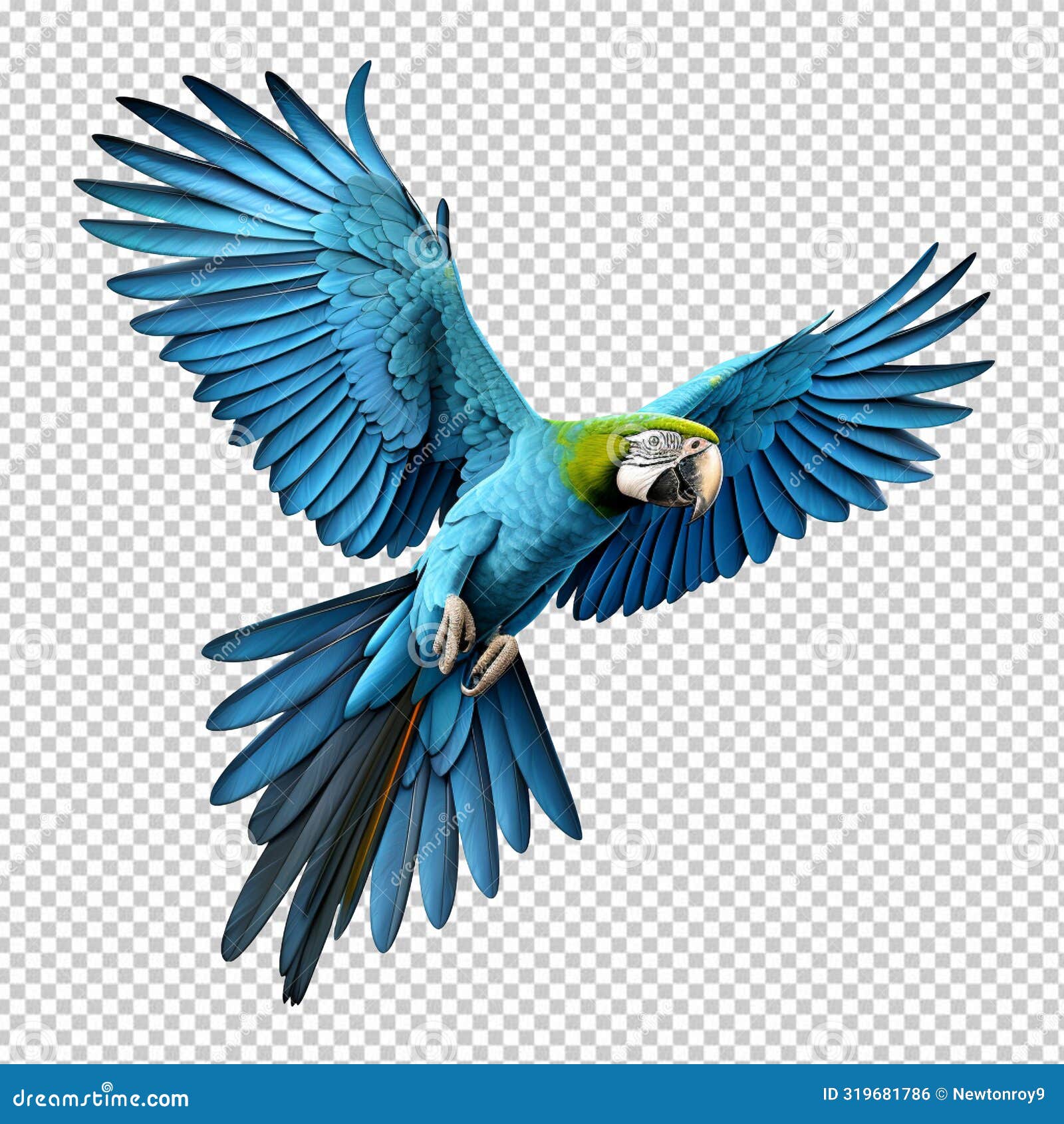 Blue Winged Macaw Isolated on Transparent Background Stock Photo ...