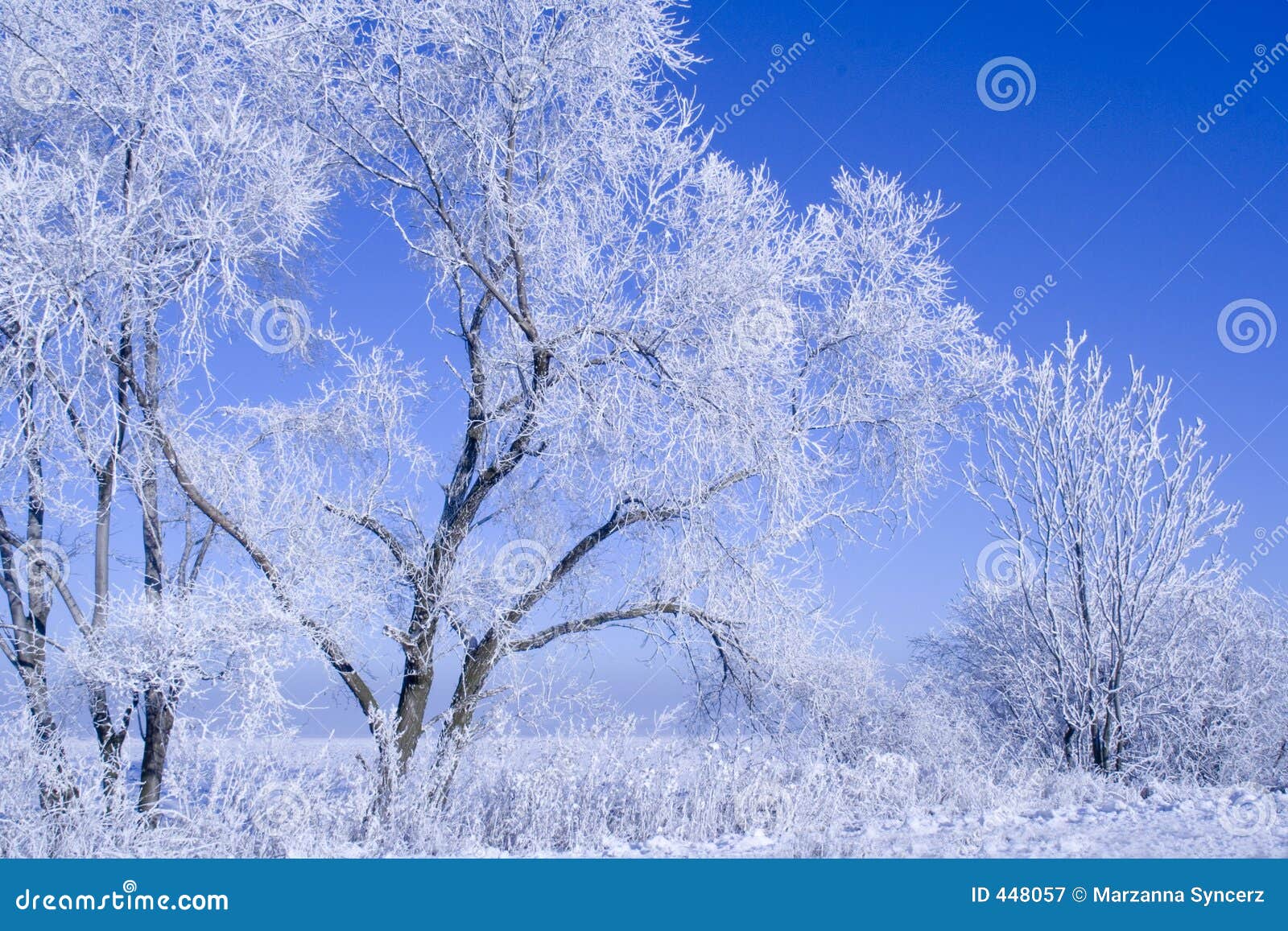 Blue winter stock image. Image of schladming, daytime, fresh - 448057