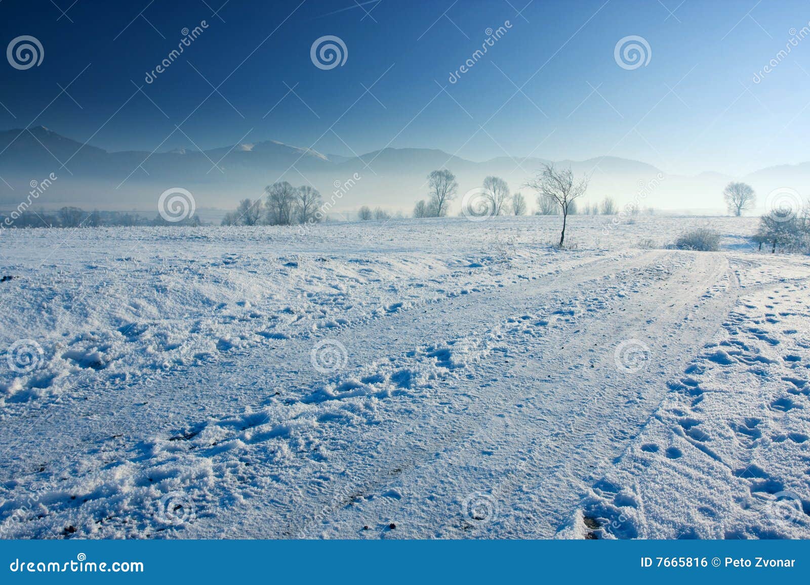 Blue winter stock photo. Image of fresh, snow, country - 7665816
